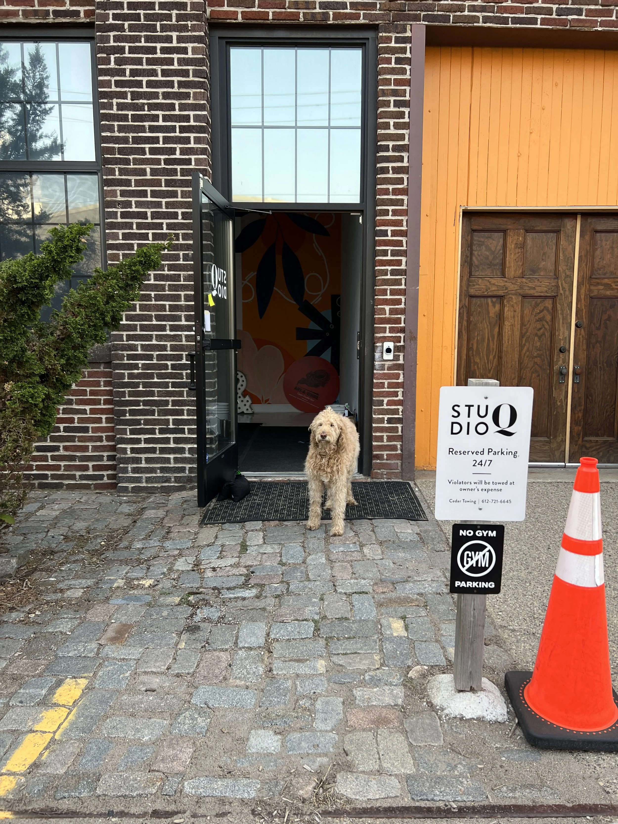 The Ultimate Guide to Studio Q: Everything You Need to Know Before You ...