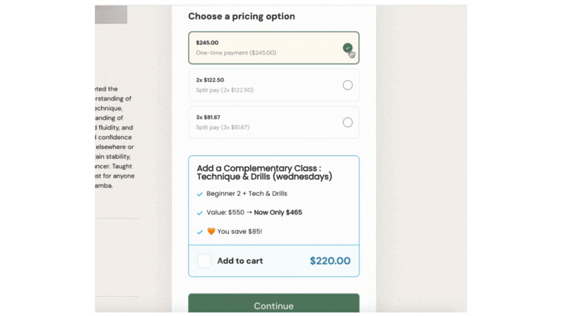 Workarounds for Offering Payment Plans on Squarespace (Without Losing ...