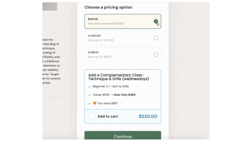 Workarounds for Offering Payment Plans on Squarespace (Without Losing ...