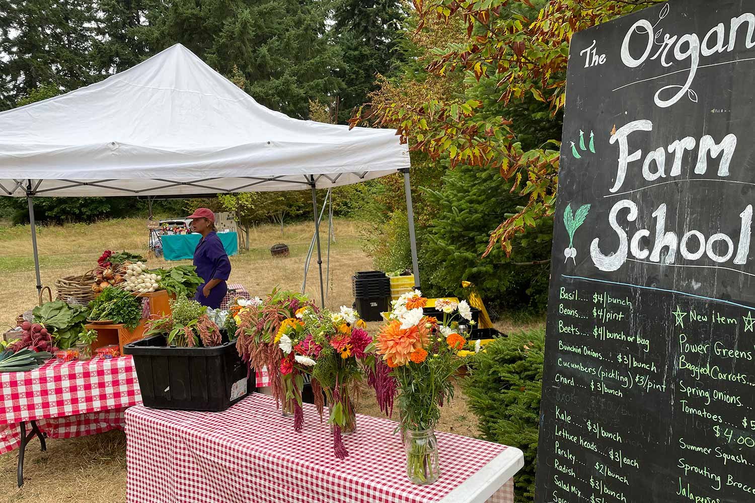 Farmers Market — South Whidbey Tilth