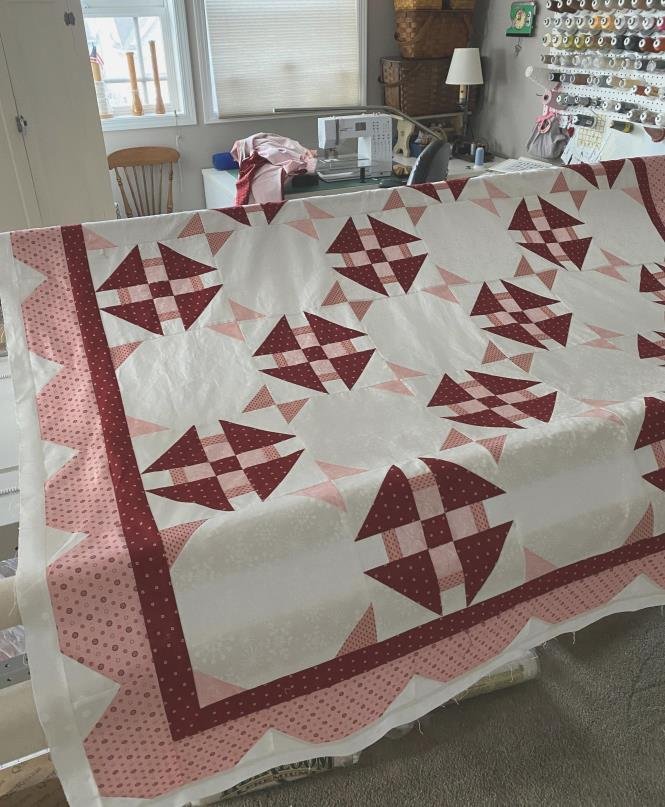 Cotton Daisies Quilt Pattern — Laugh Yourself Into Stitches
