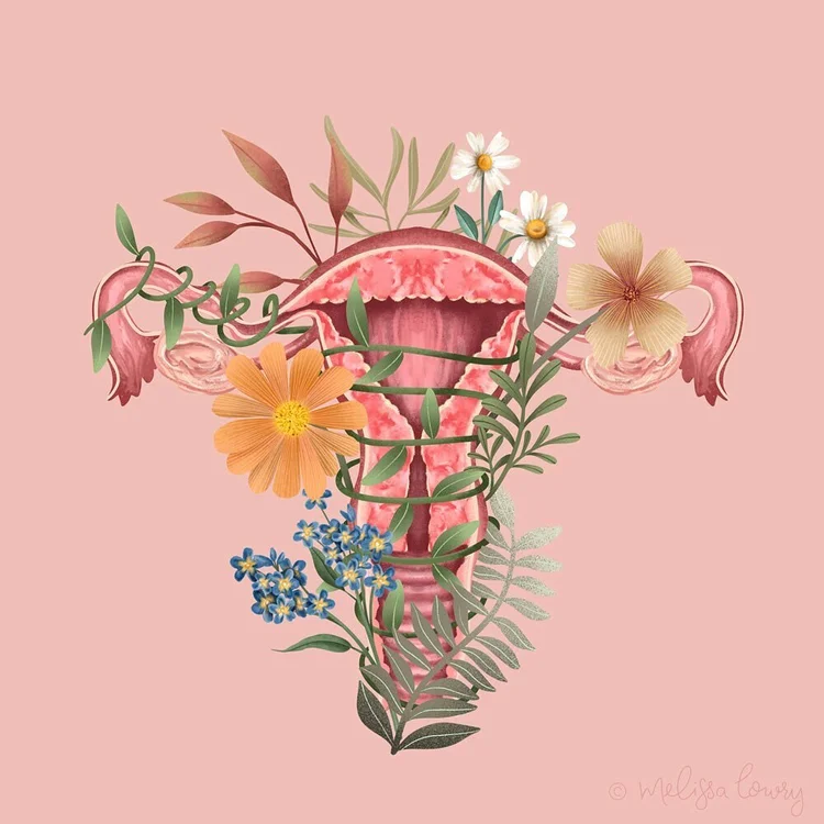 gynecology and wellness | Empower Your Wellness Today — (re)birth