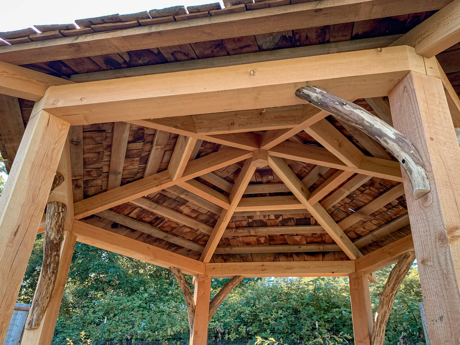 BUILDING — BOWERBIRD BUILDERS