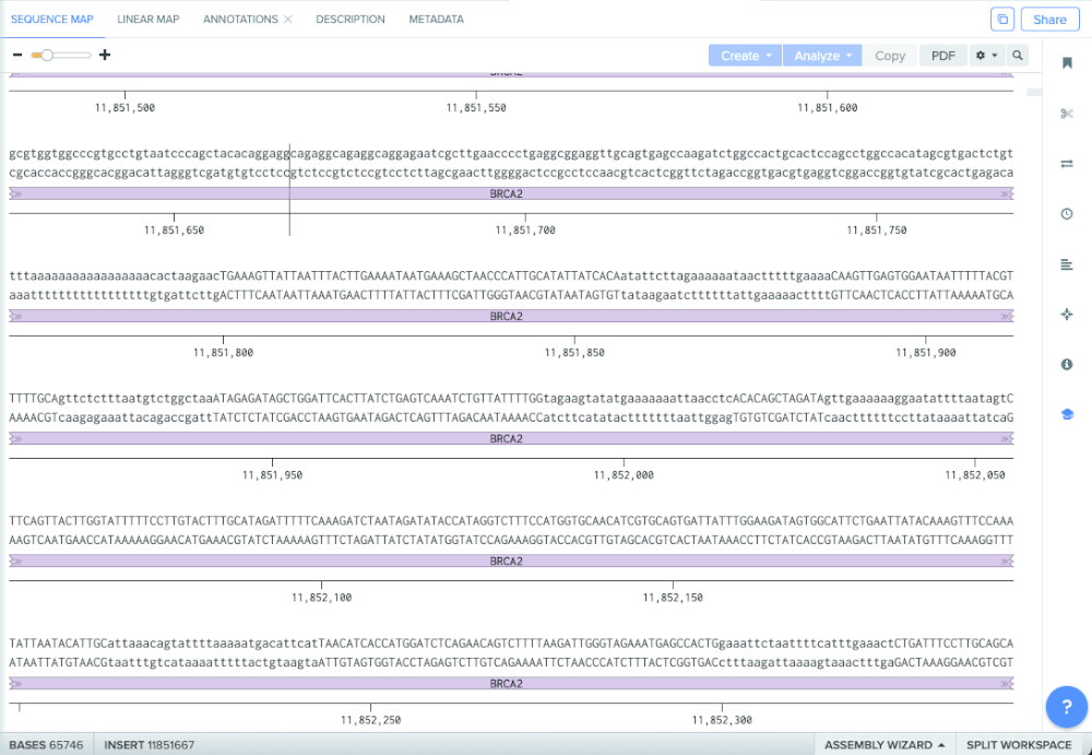 Benchling — Meghan Bosch