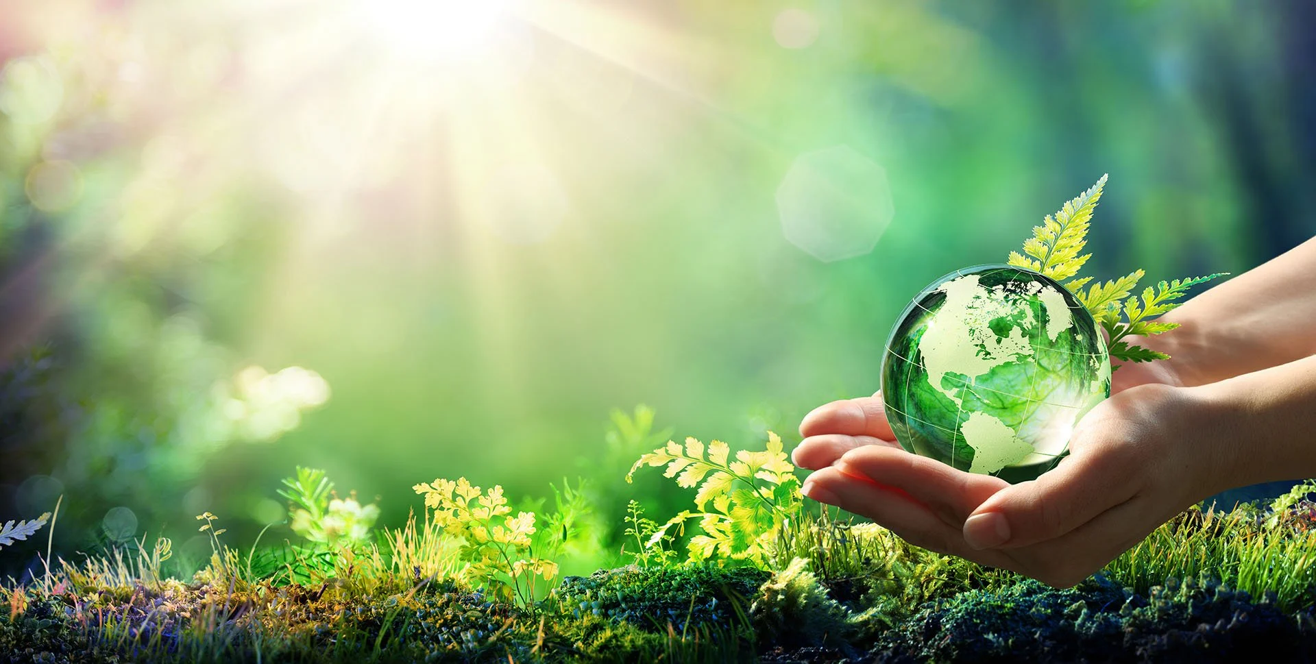 Supply Chain Sustainability — ESP Logistics Technology