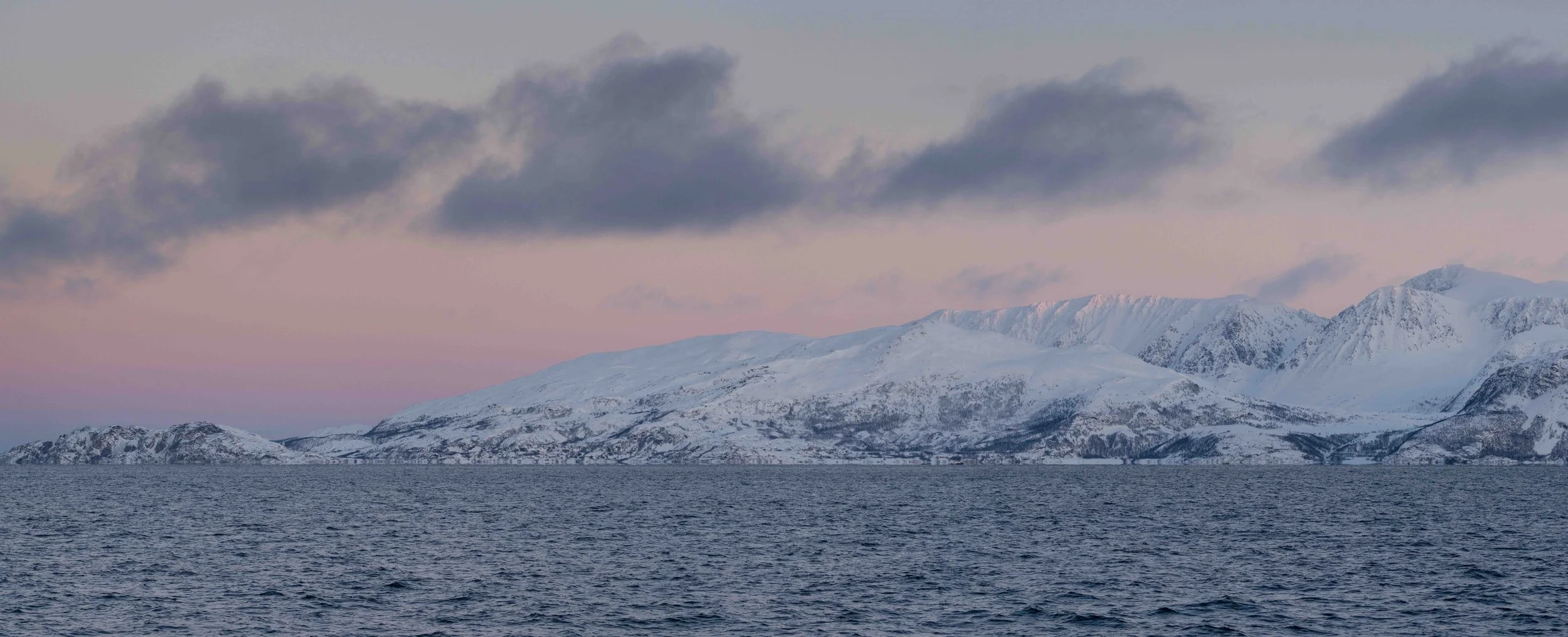 Marco Moritz Fotograf für Portraits, Hochzeiten und Fotoreportagen