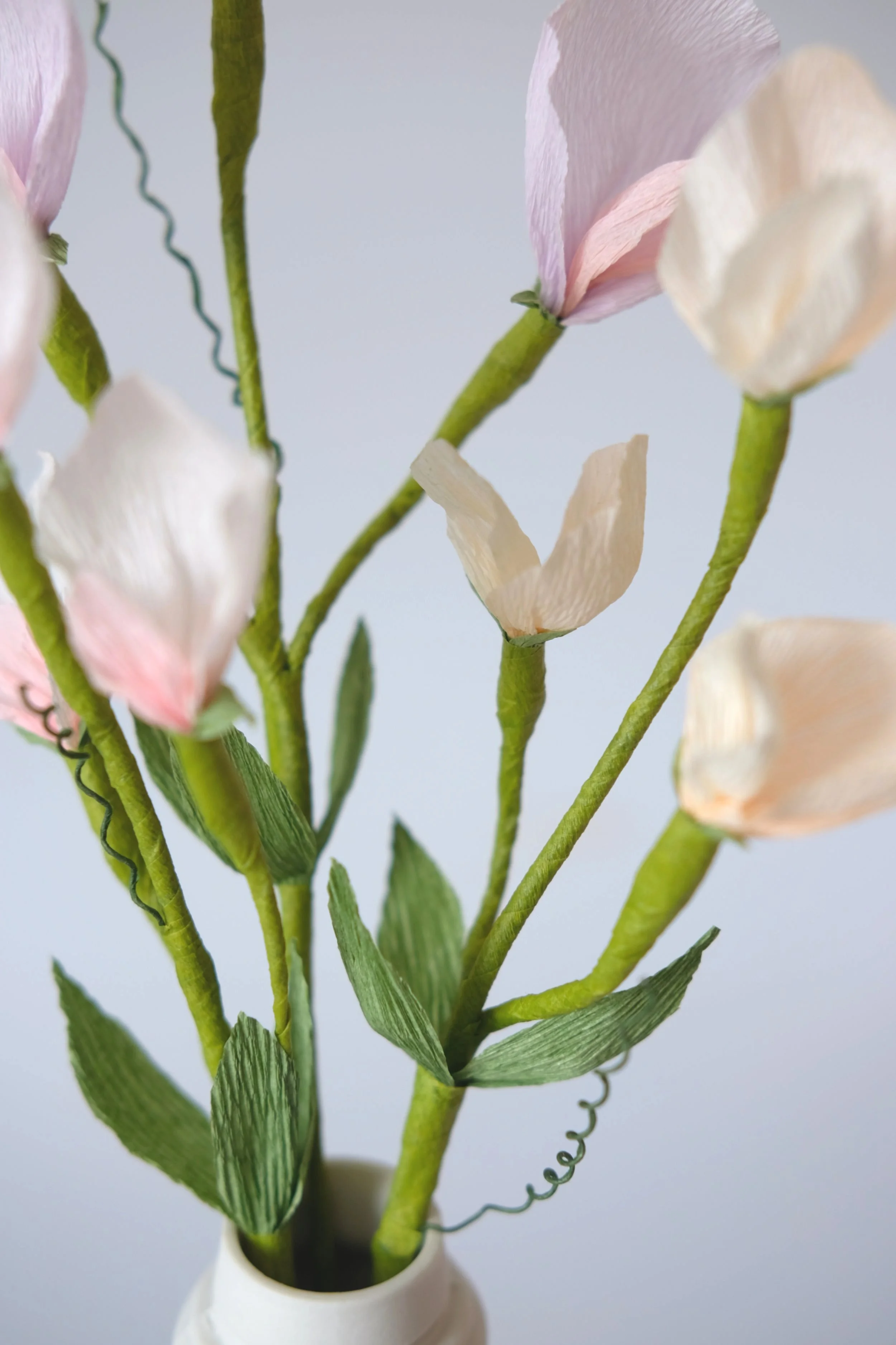 Shop Paper Flowers — Leo Flowers