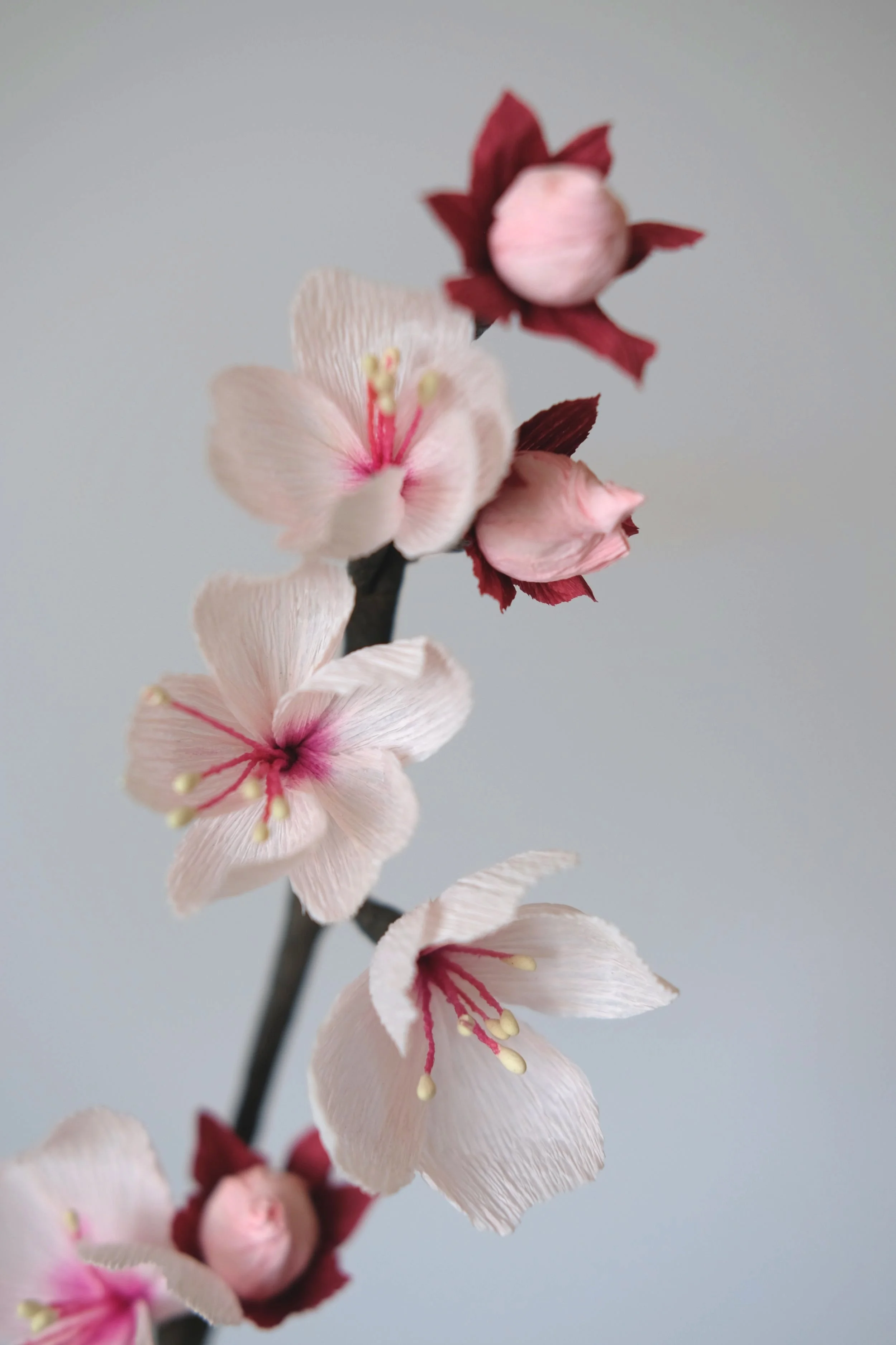 Shop Paper Flowers — Leo Flowers