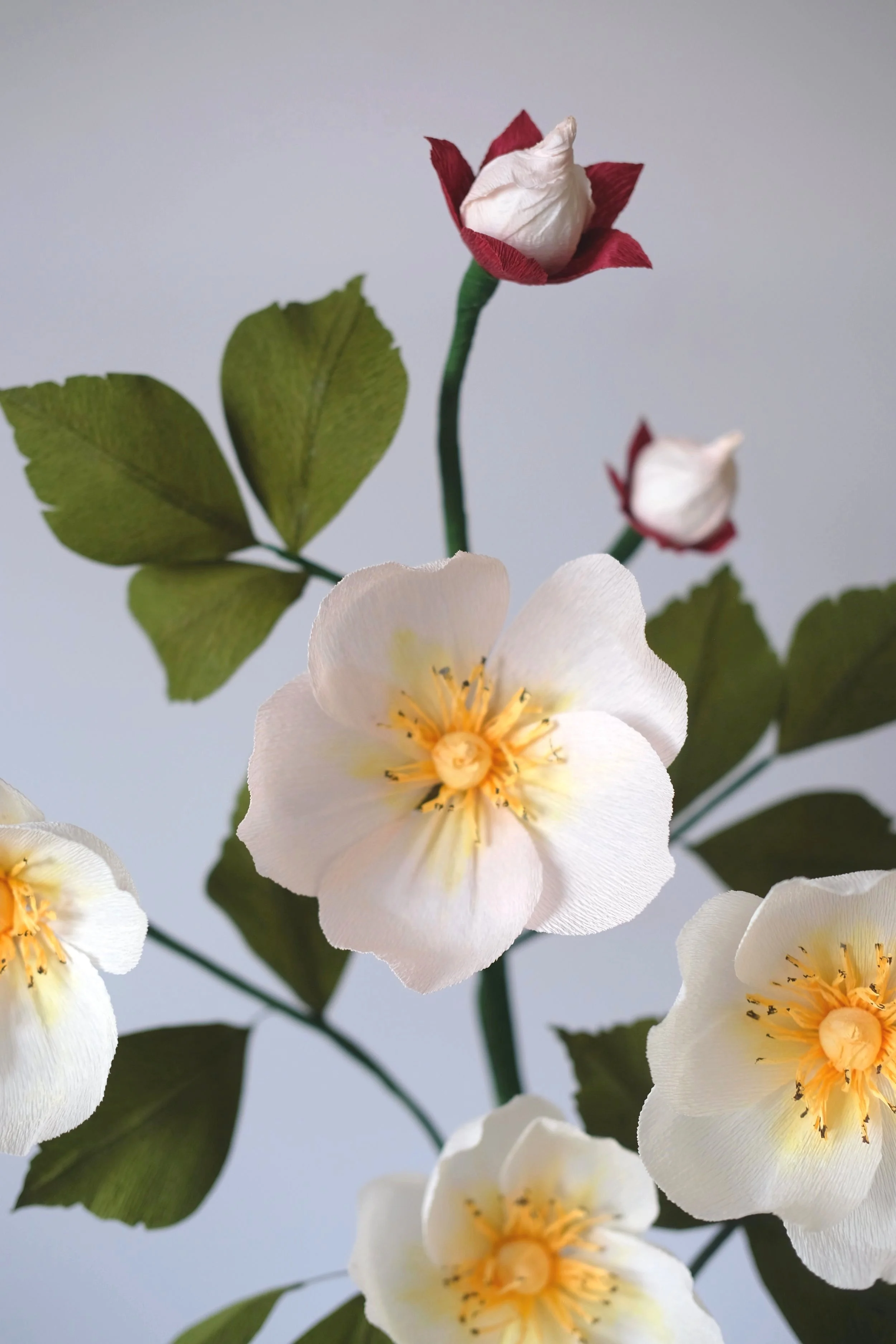 Shop Paper Flowers — Leo Flowers