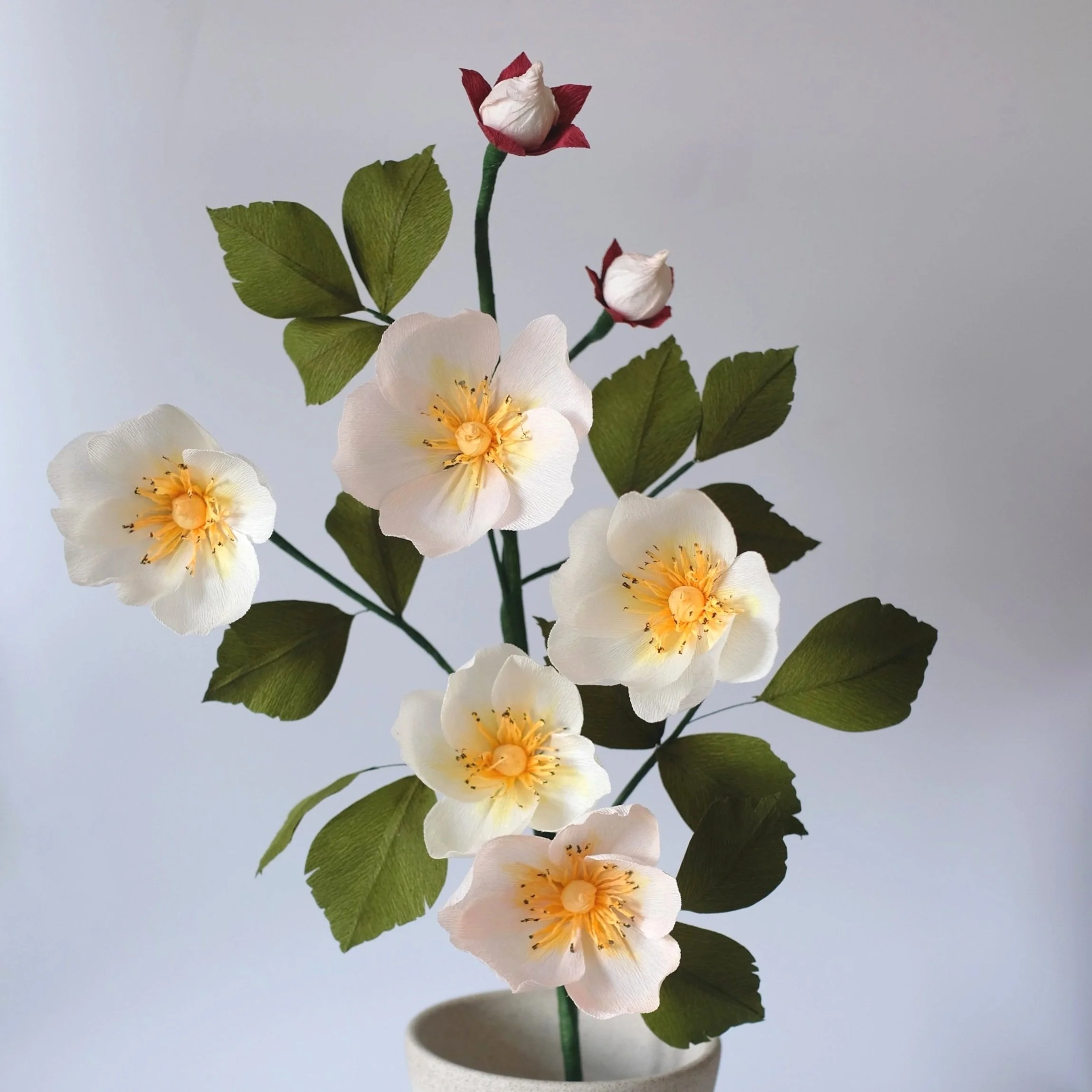 Shop Paper Flowers — Leo Flowers