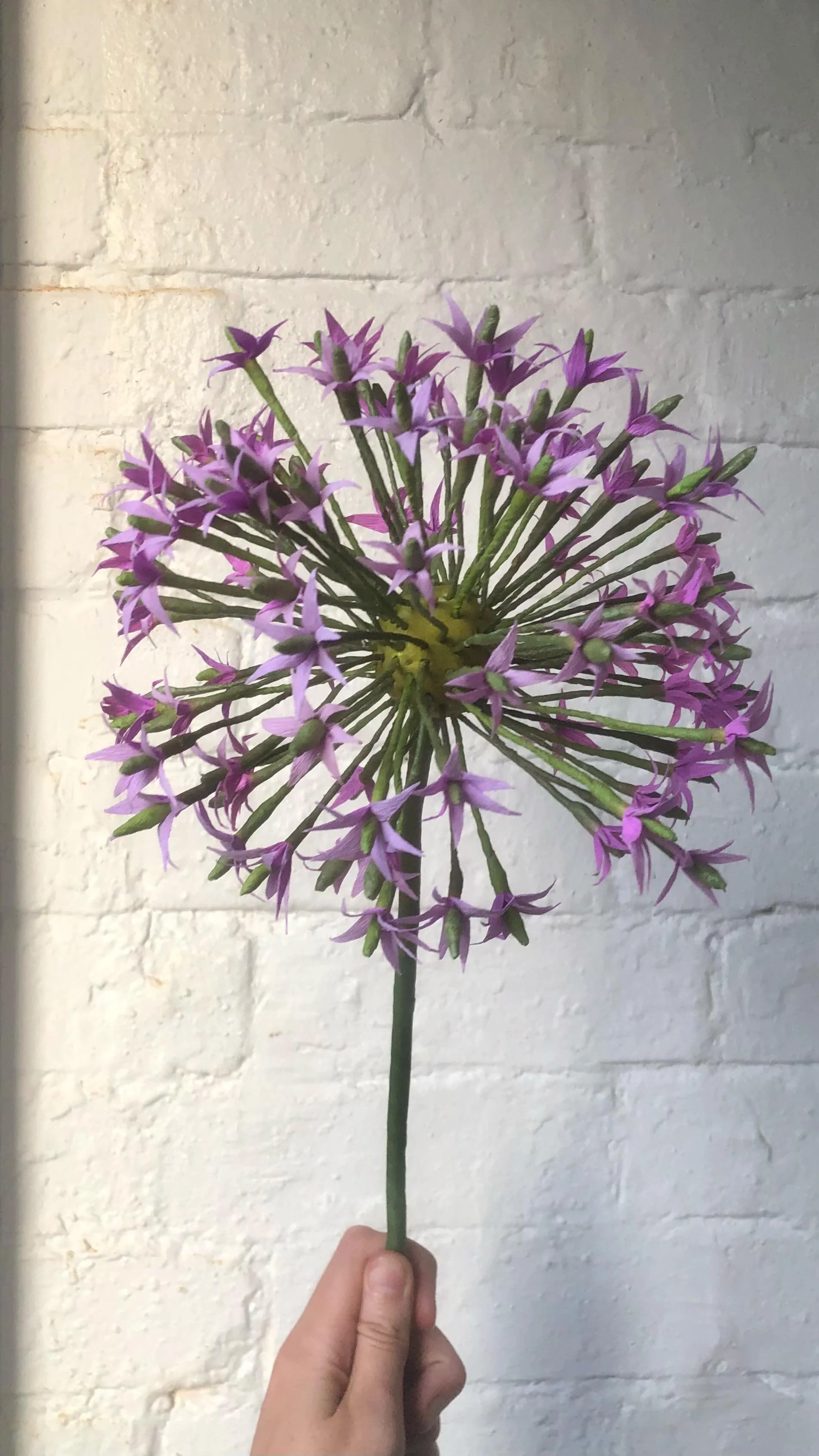 Leo Flowers - Paper Flower Artist, London, UK