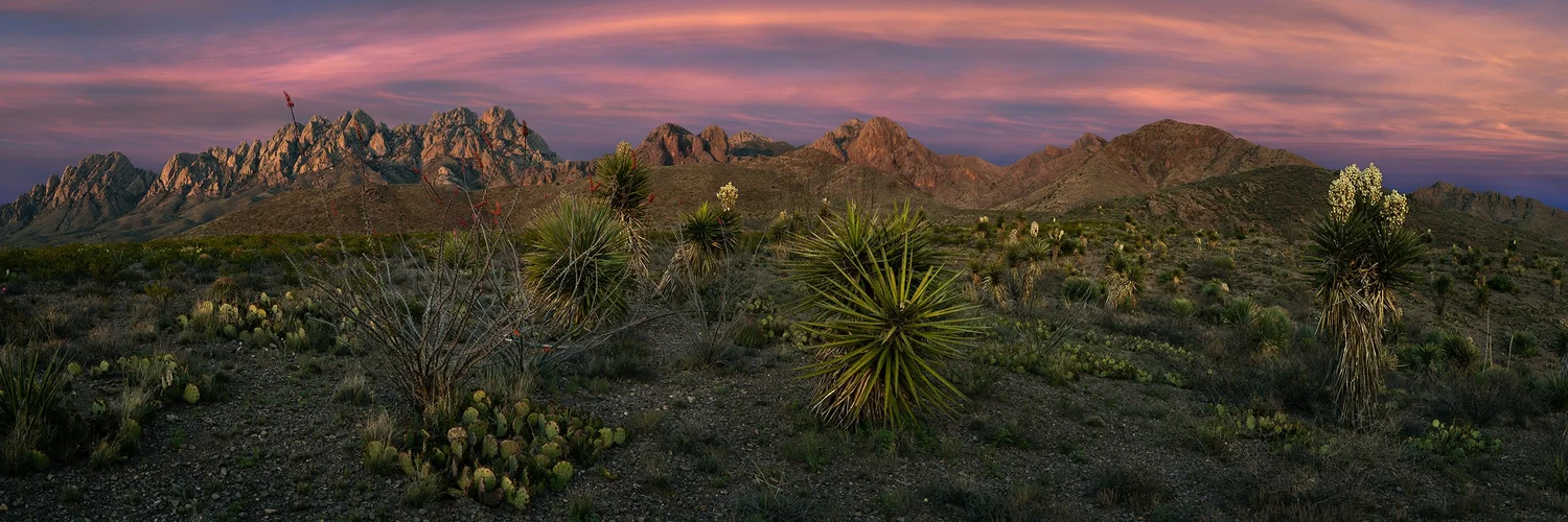 Organ Mountains — Wayne Suggs Photography