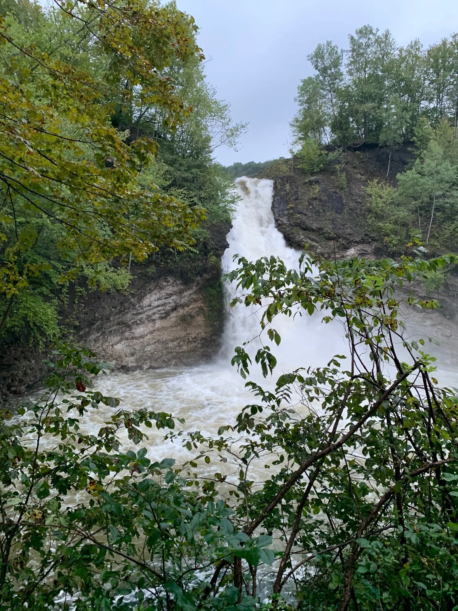 Book a Class — Hinckston Run Farm