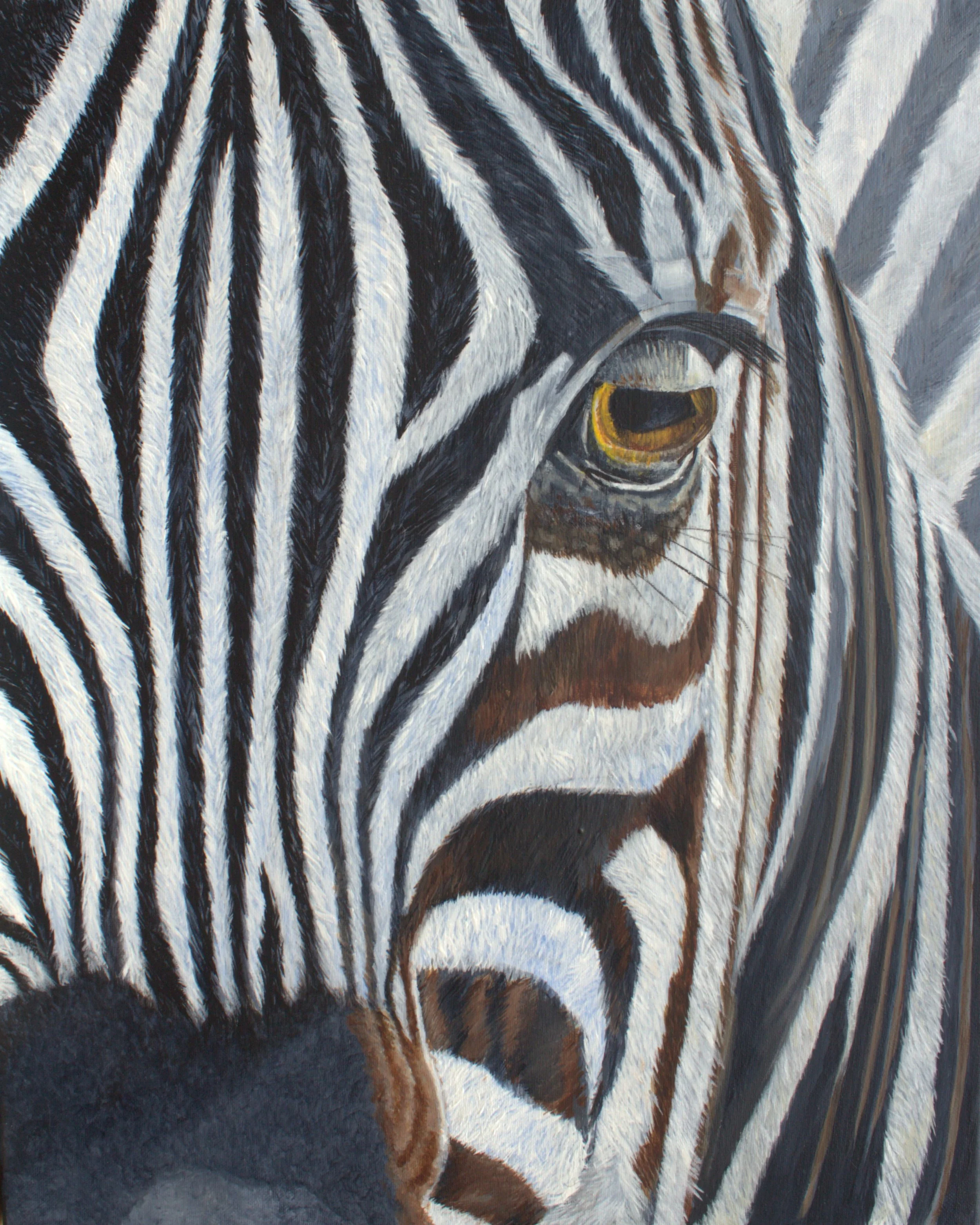 Paws Artistry - Animal Art, Wildlife Art and Pet Portraits