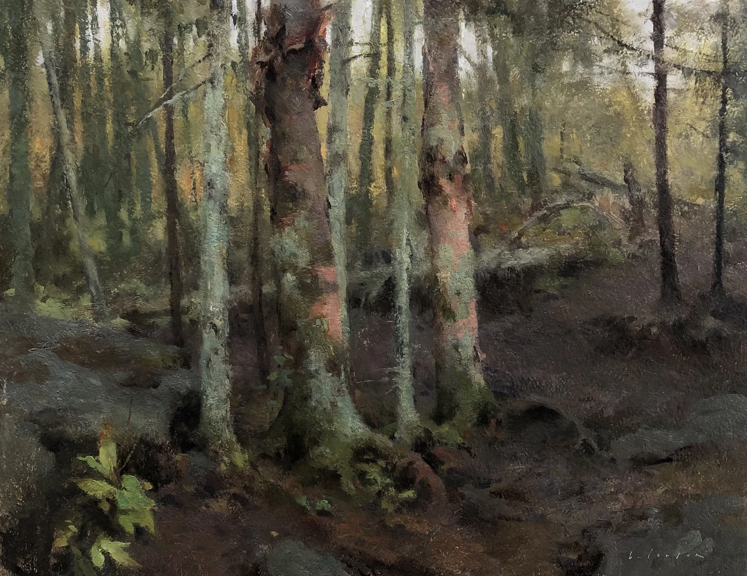 Gallery 1 — brock larson