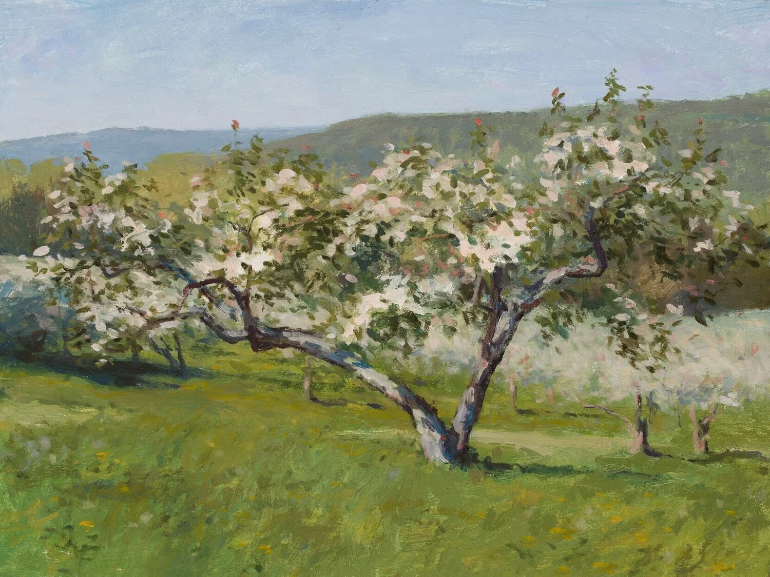 Shop — brock larson