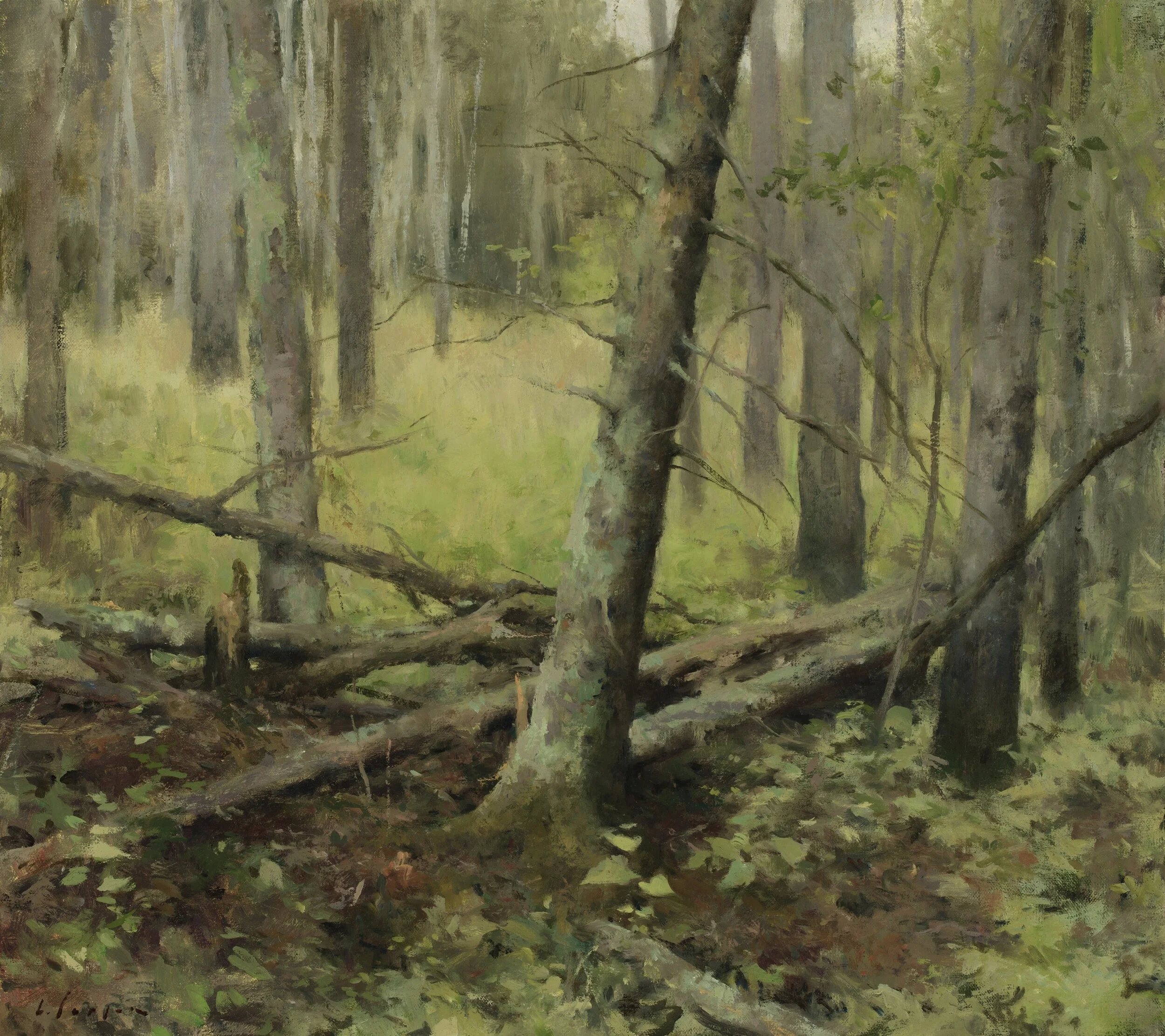 Shop — brock larson