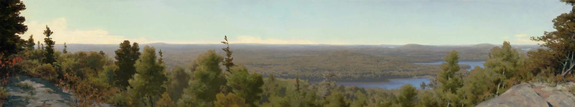 Shop — brock larson