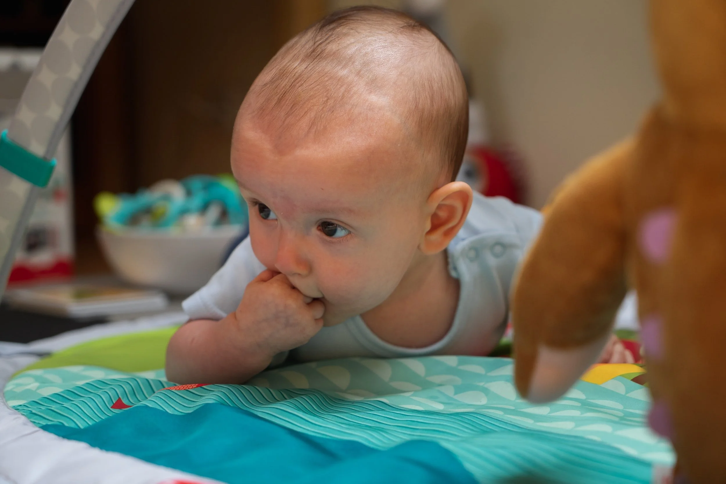 Treehouse Pediatric Therapy