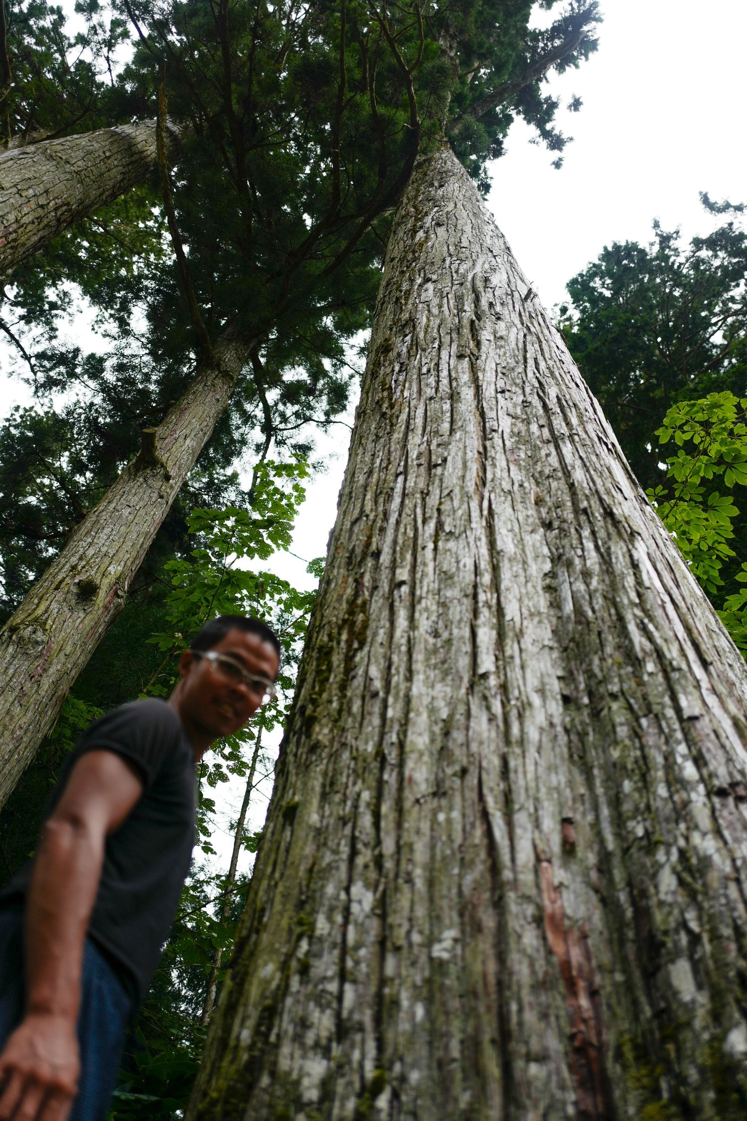 Retreats — Ryunohara