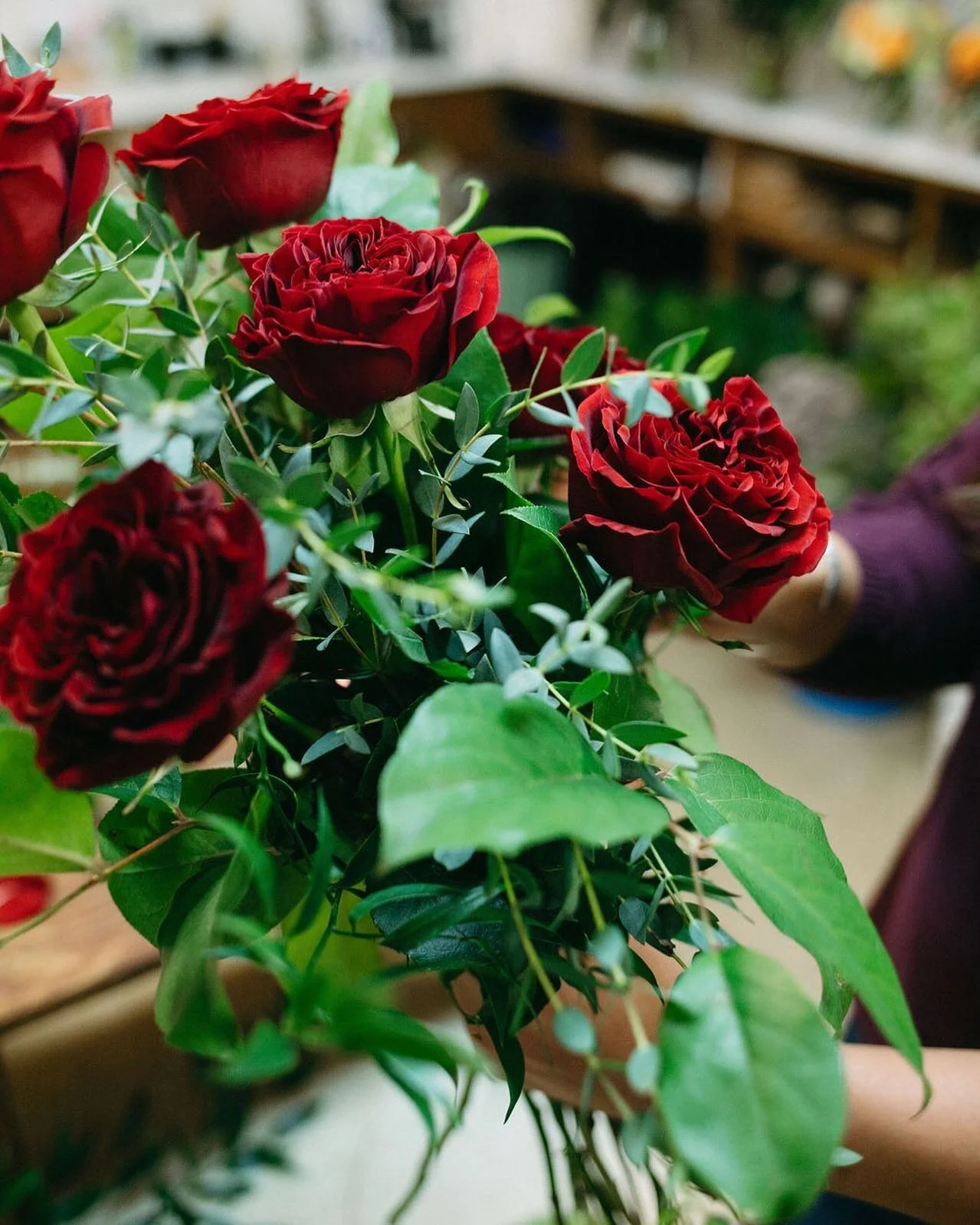 Sitka Flowers & Chocolate Moose