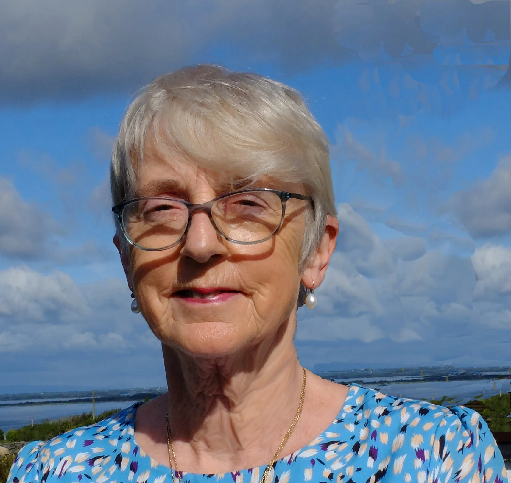 anne donnellan — Mountshannon Arts