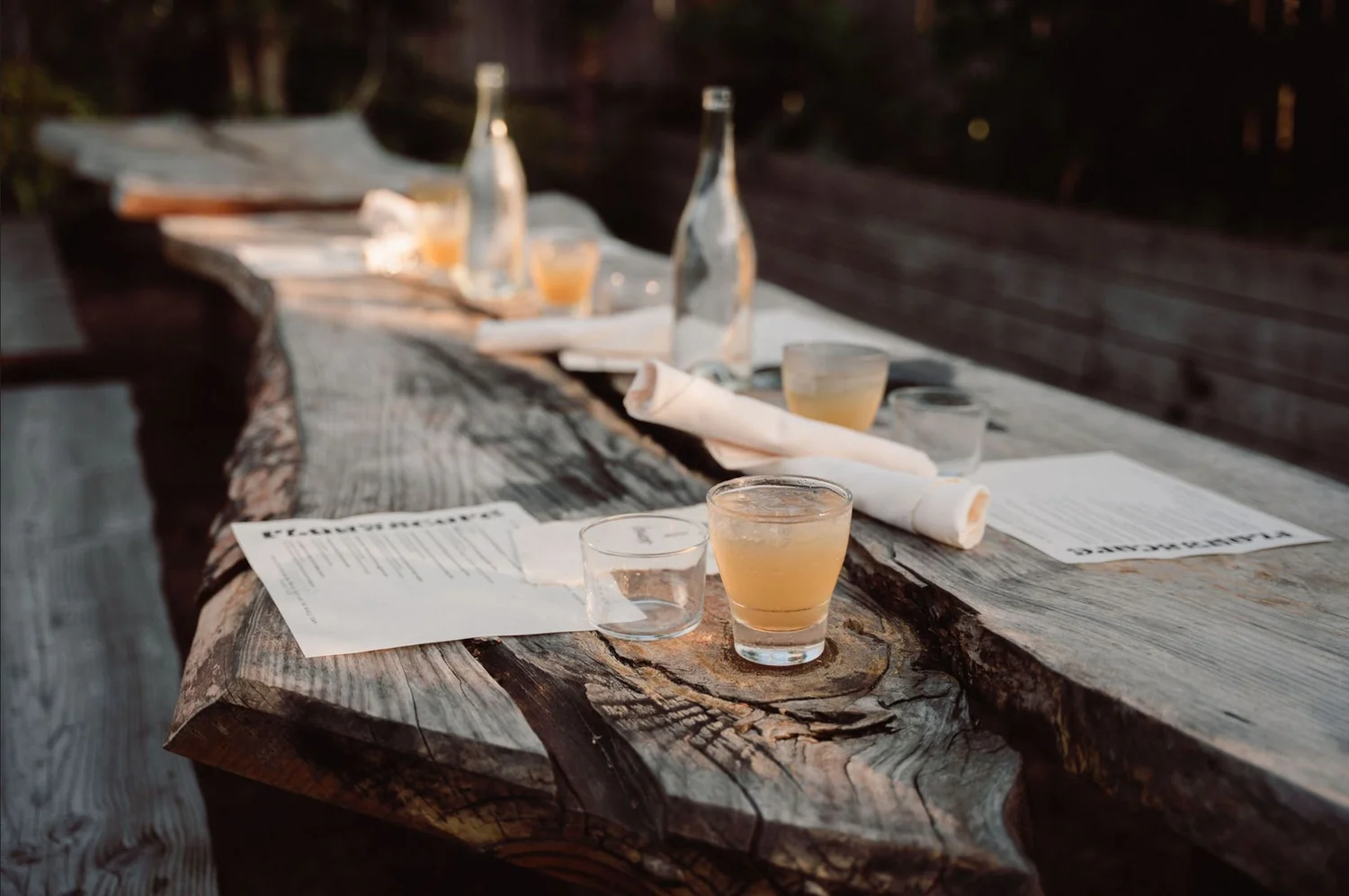 Vegan Tasting Menus & Planstcape Dinner Series | The Plot — theplot