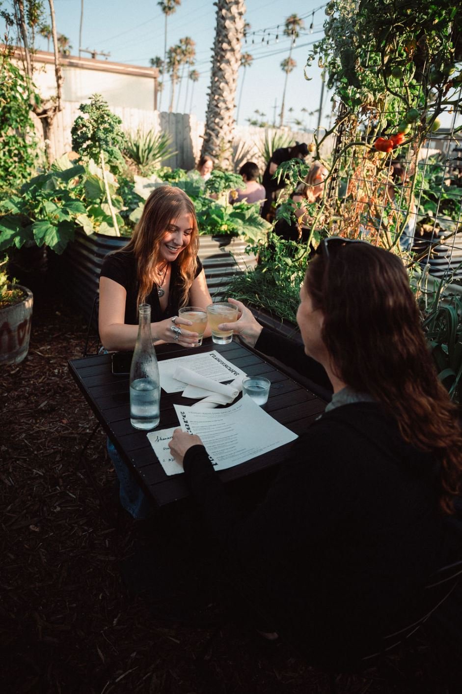 Vegan Tasting Menus & Planstcape Dinner Series | The Plot — theplot