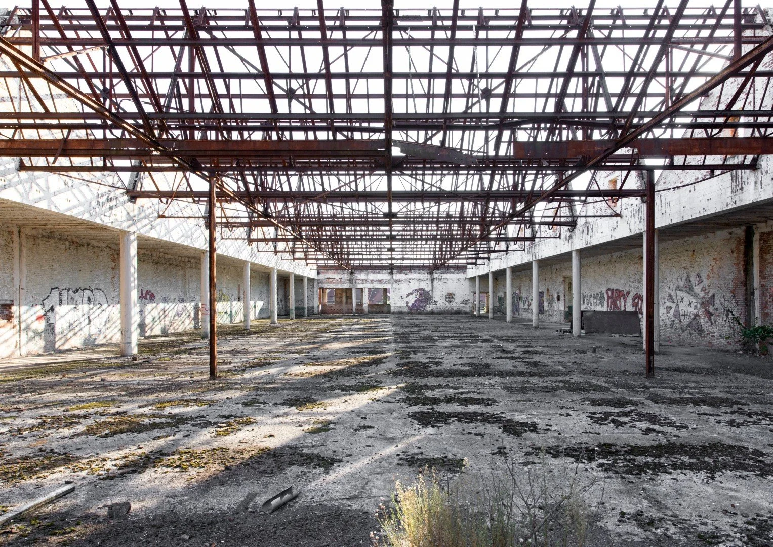 De Porre Gepord — DHOOGE & MEGANCK