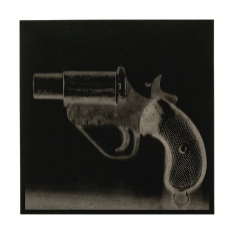 Diatom #43S — THE STASIG ARCHIVES