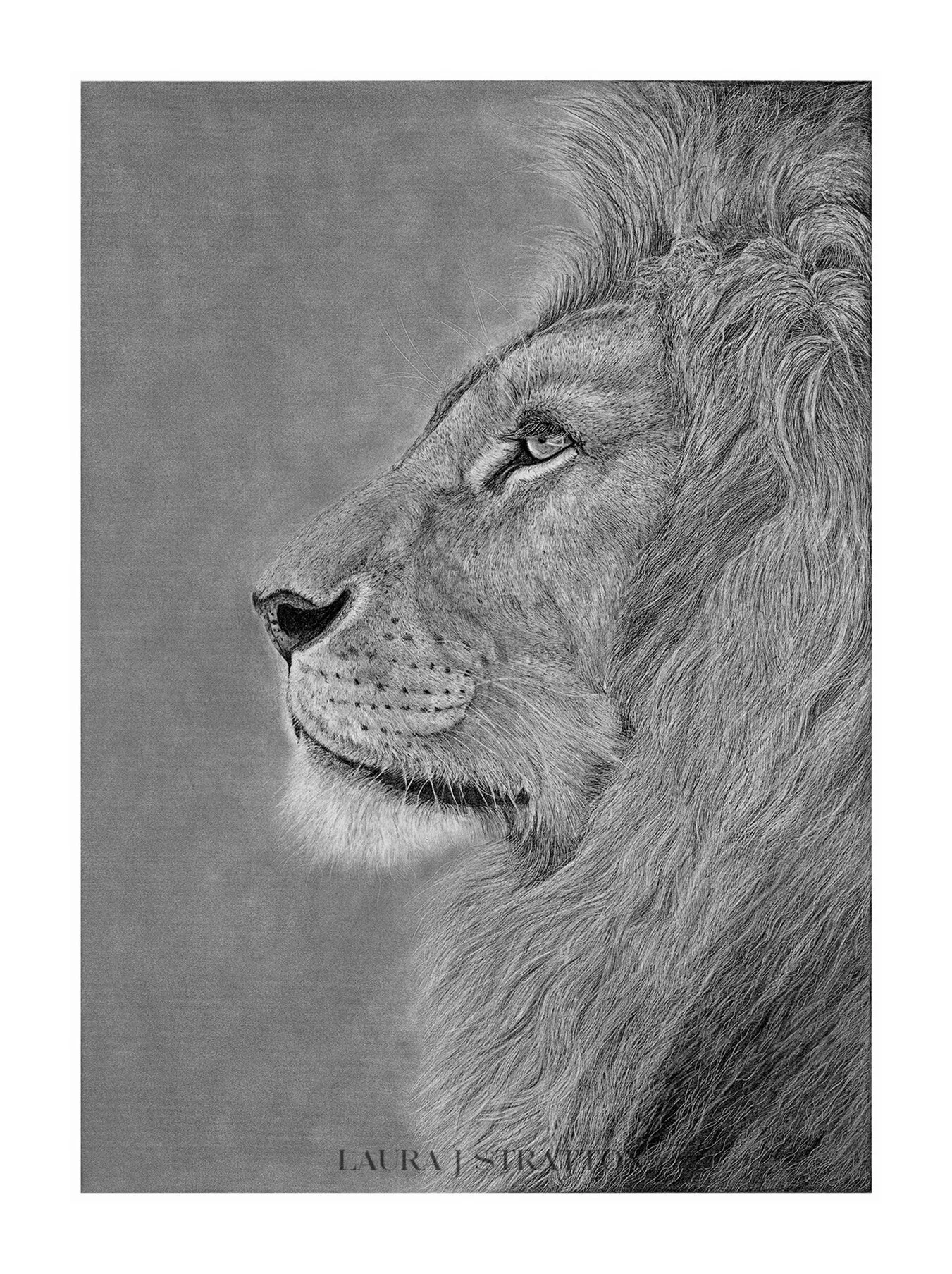 Laura J Stratton - Pencil Artist