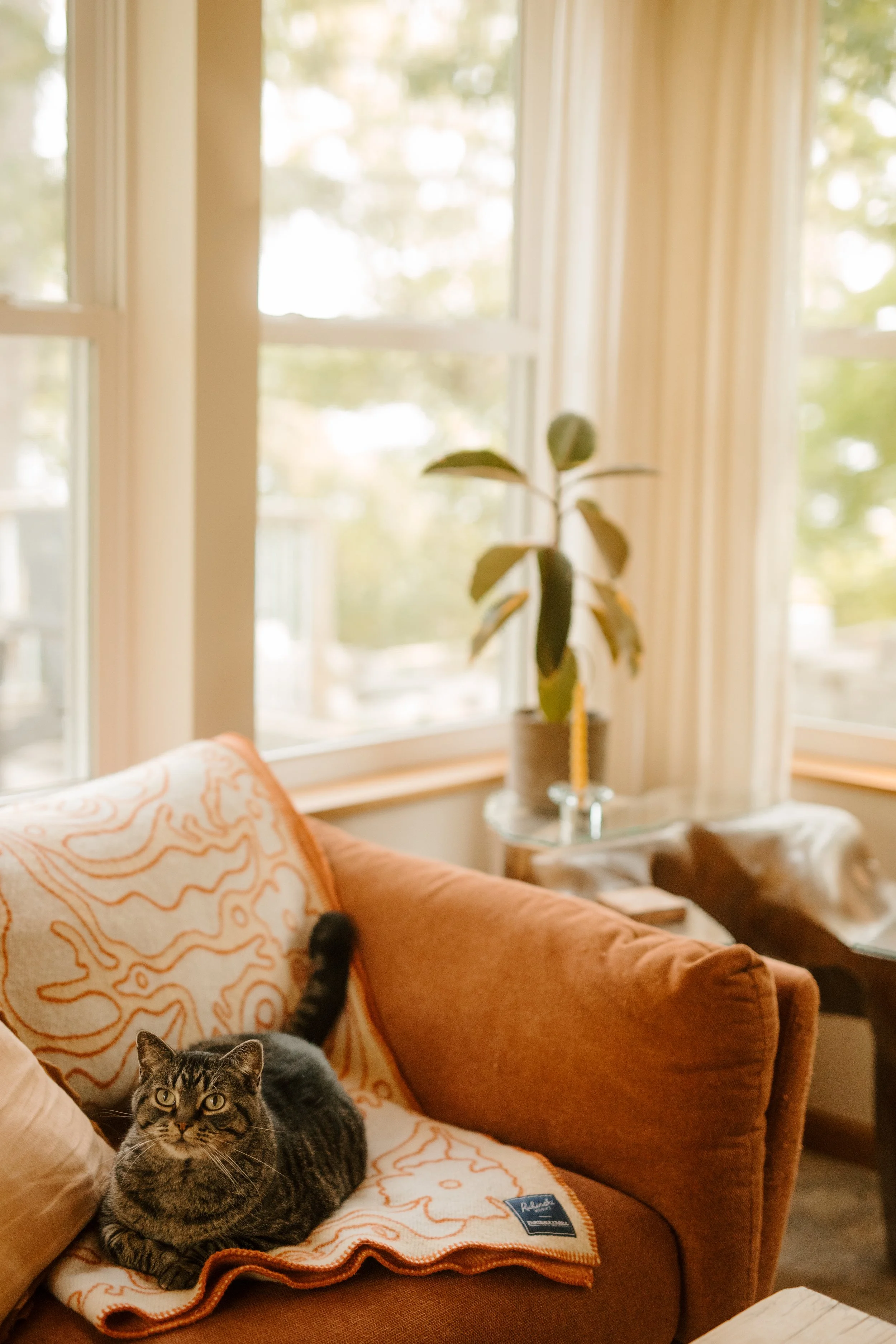 Shop — Rubinski Works