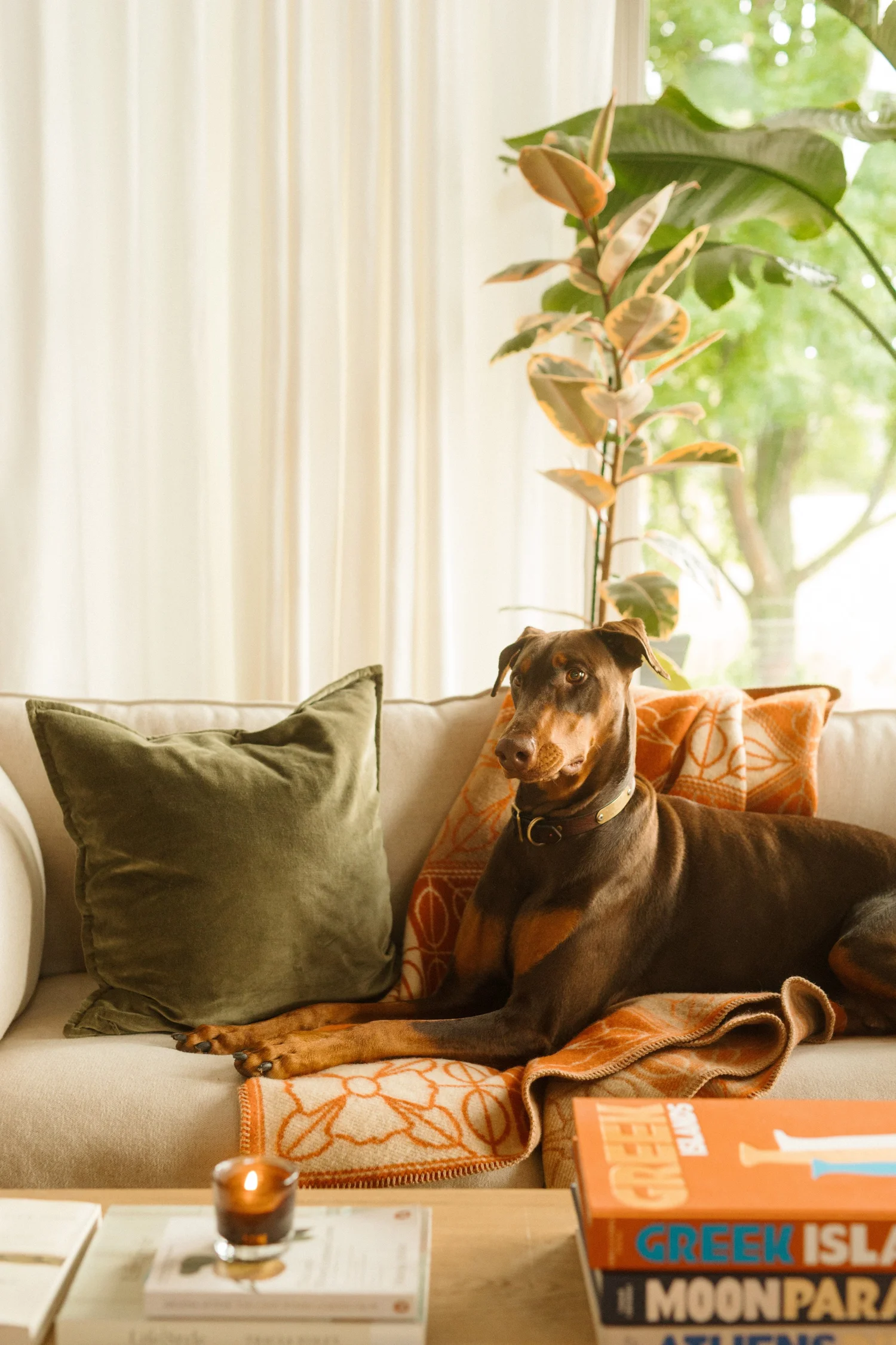 Shop — Rubinski Works