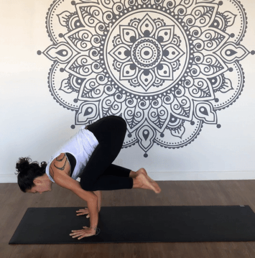 4 Crow Pose Variations to Advance Your Yoga Practice — Yoga Room Hawaii