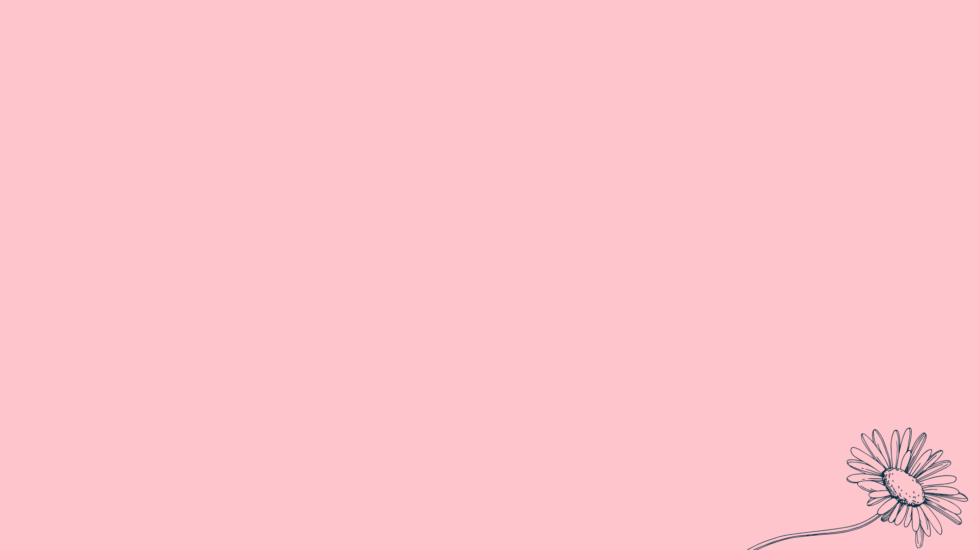 MEDIA — Emily Applebaum