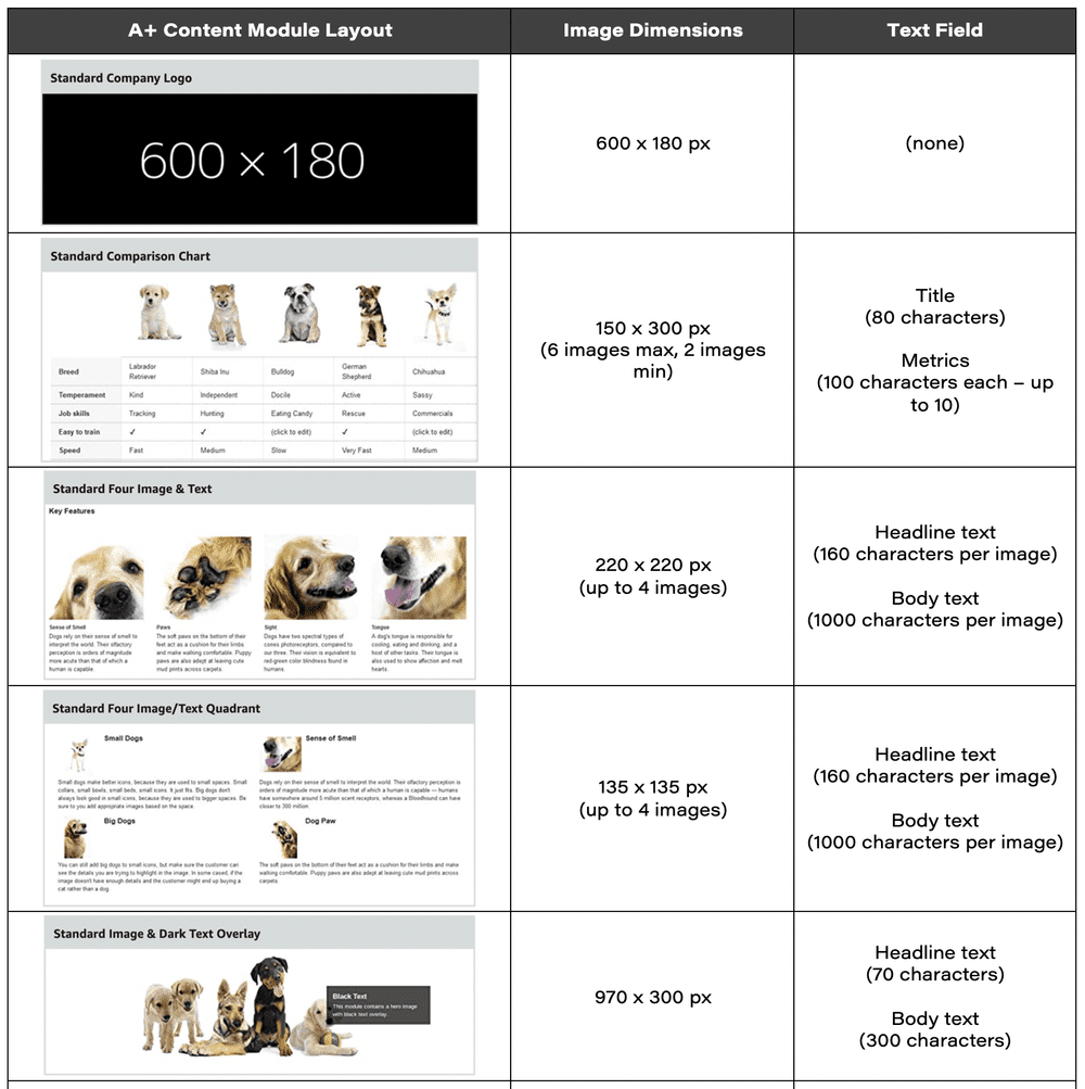 Your Go-To Guide for Amazon A+ Content Dimensions & Specs — Granitsa E ...