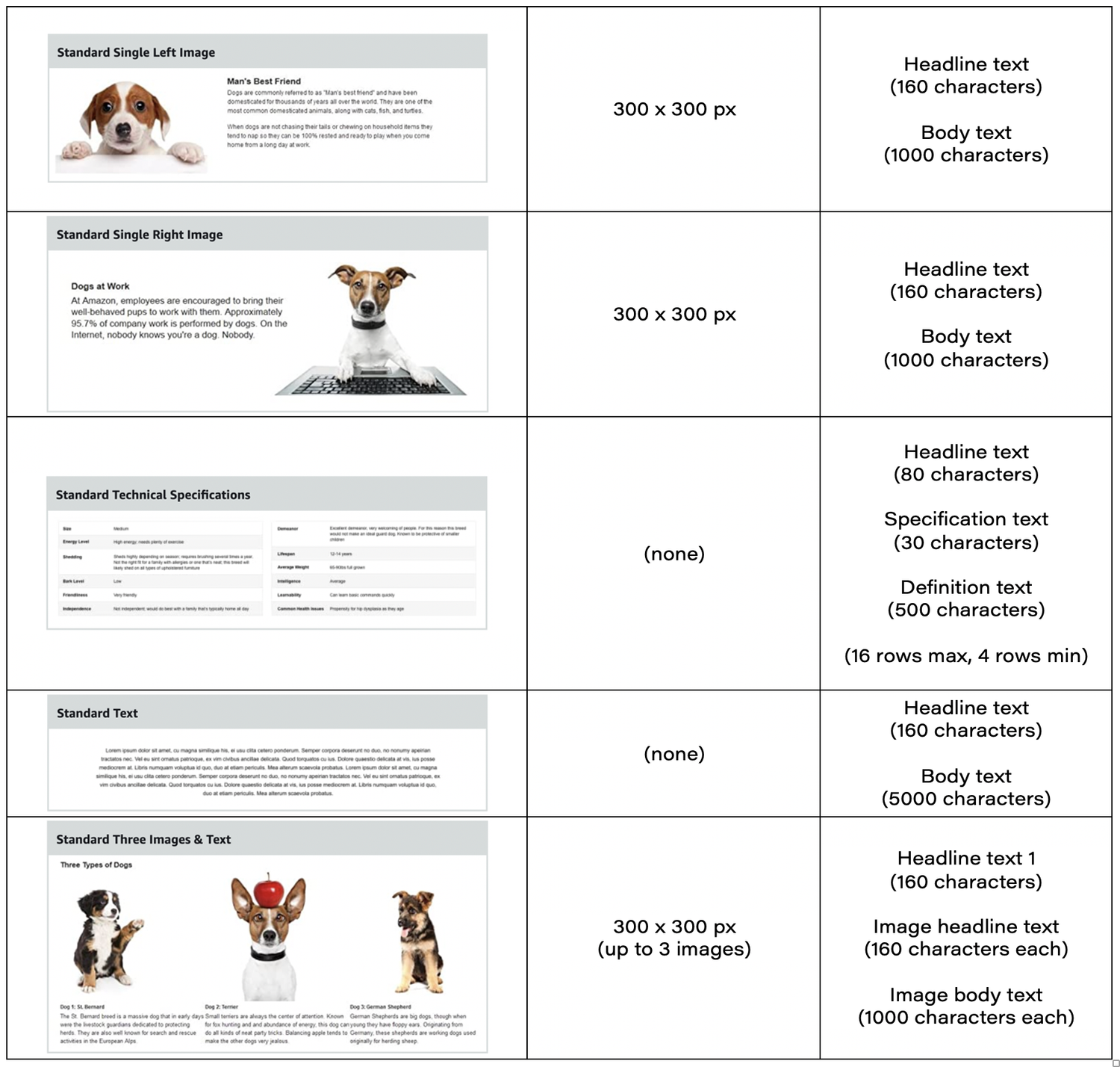 Your Go-To Guide for Amazon A+ Content Dimensions & Specs — Granitsa E ...