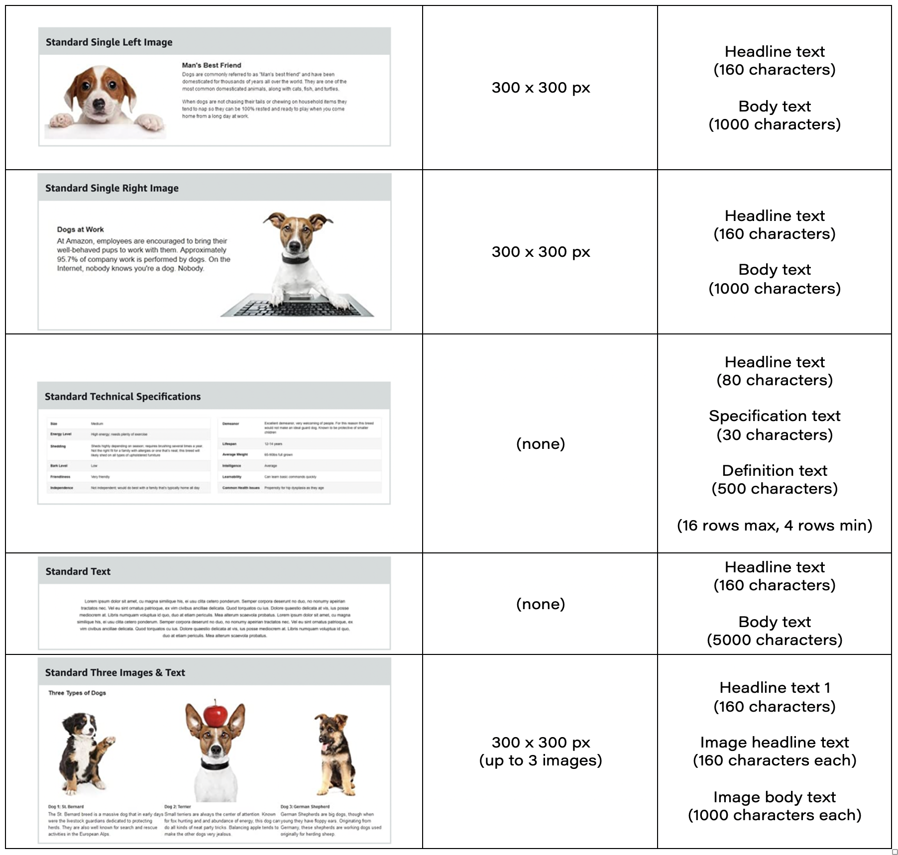 Your Go-To Guide for Amazon A+ Content Dimensions & Specs — Granitsa E ...