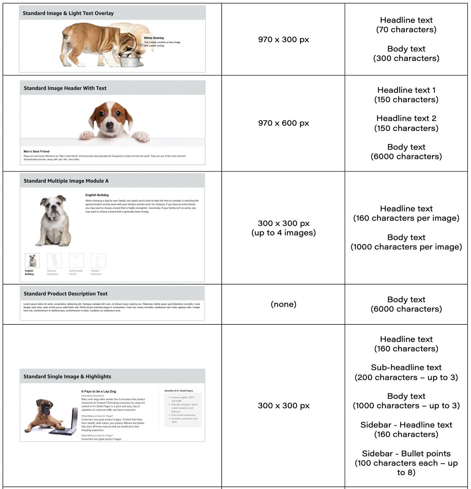 Your Go-To Guide for Amazon A+ Content Dimensions & Specs — Granitsa E ...