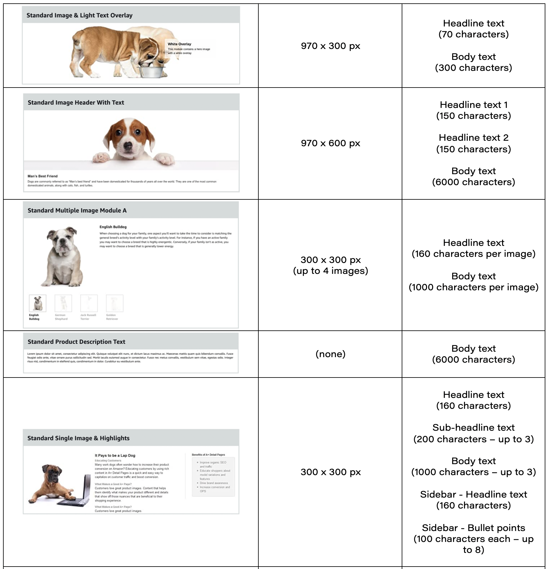 Your Go-To Guide for Amazon A+ Content Dimensions & Specs — Granitsa E ...