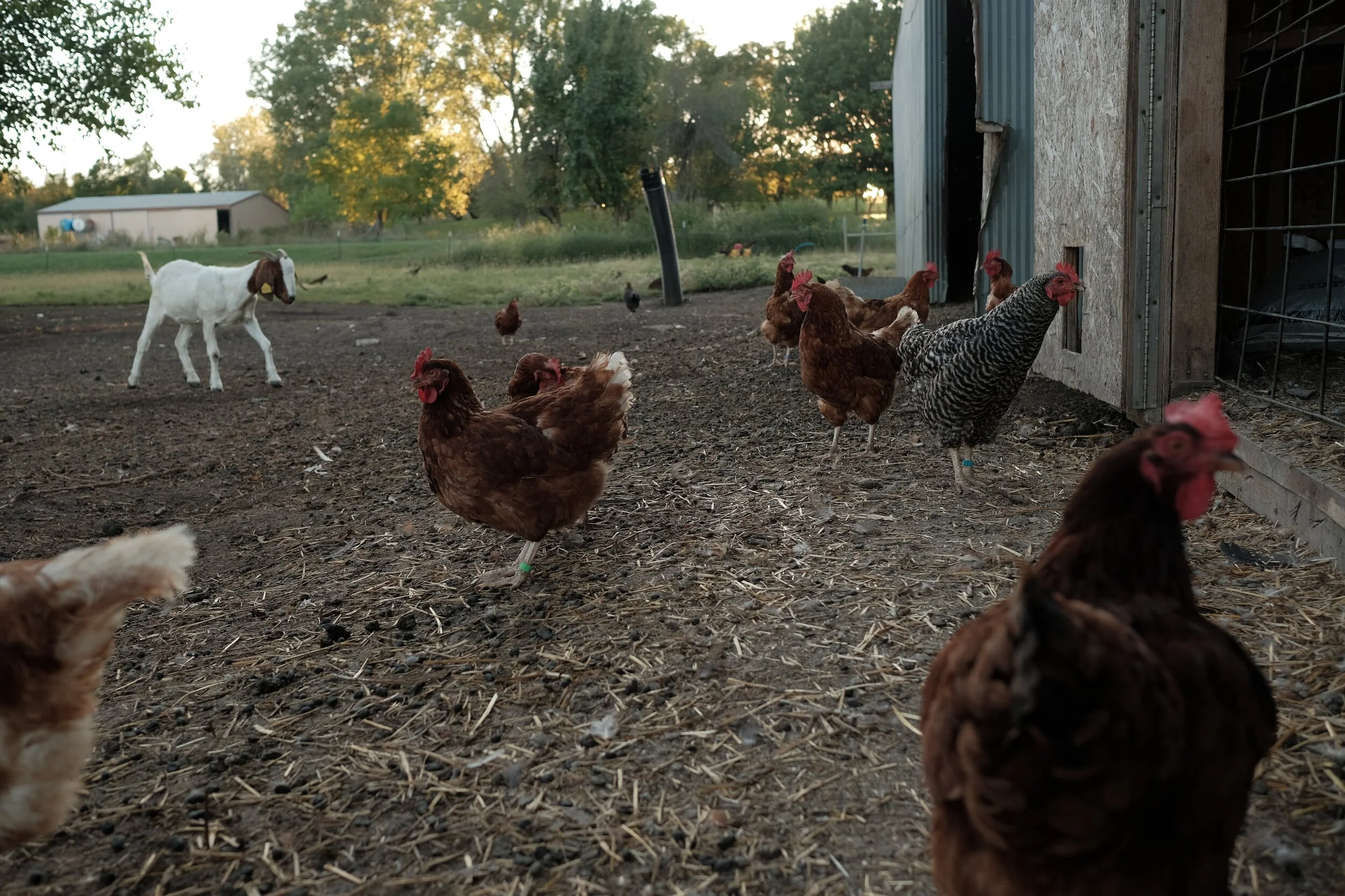 Our Story — Hidden Hill Farms
