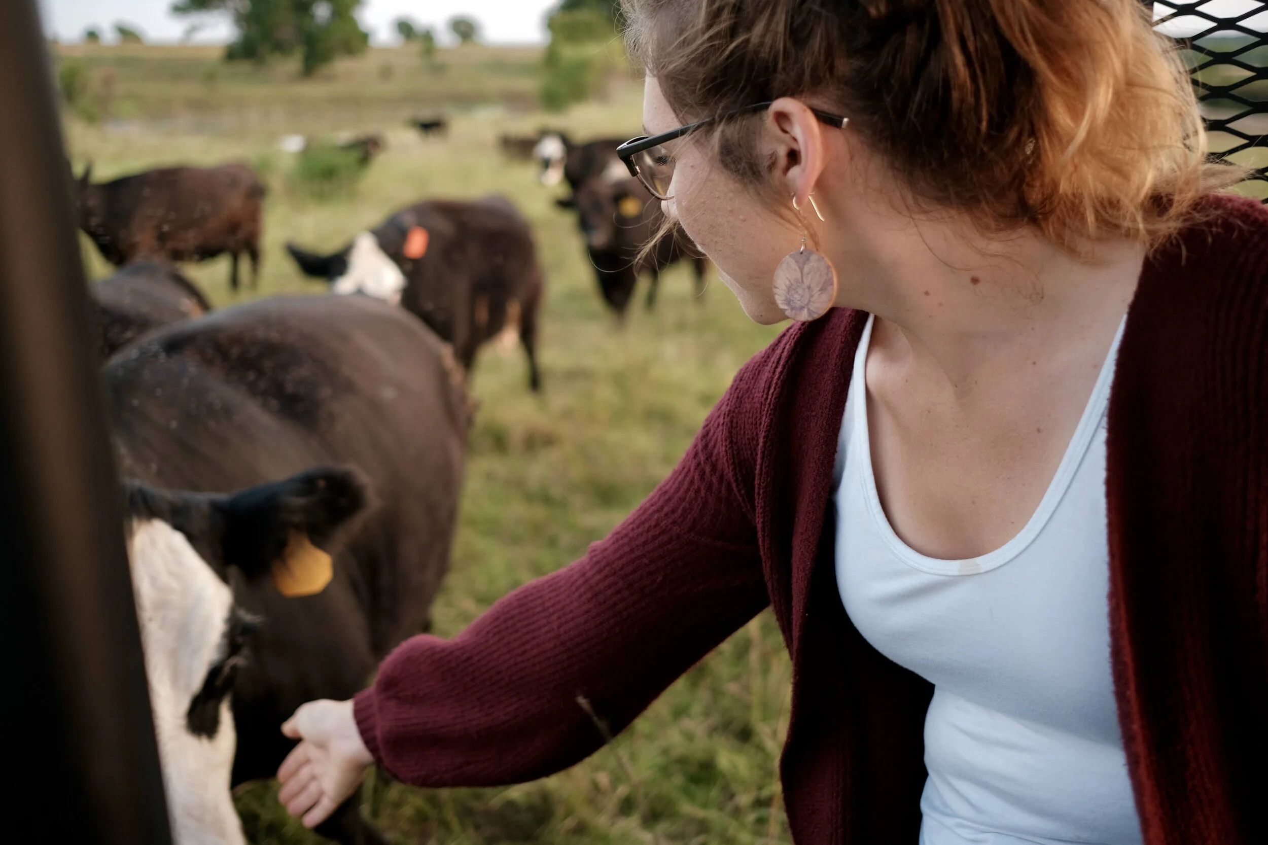 Our Story — Hidden Hill Farms