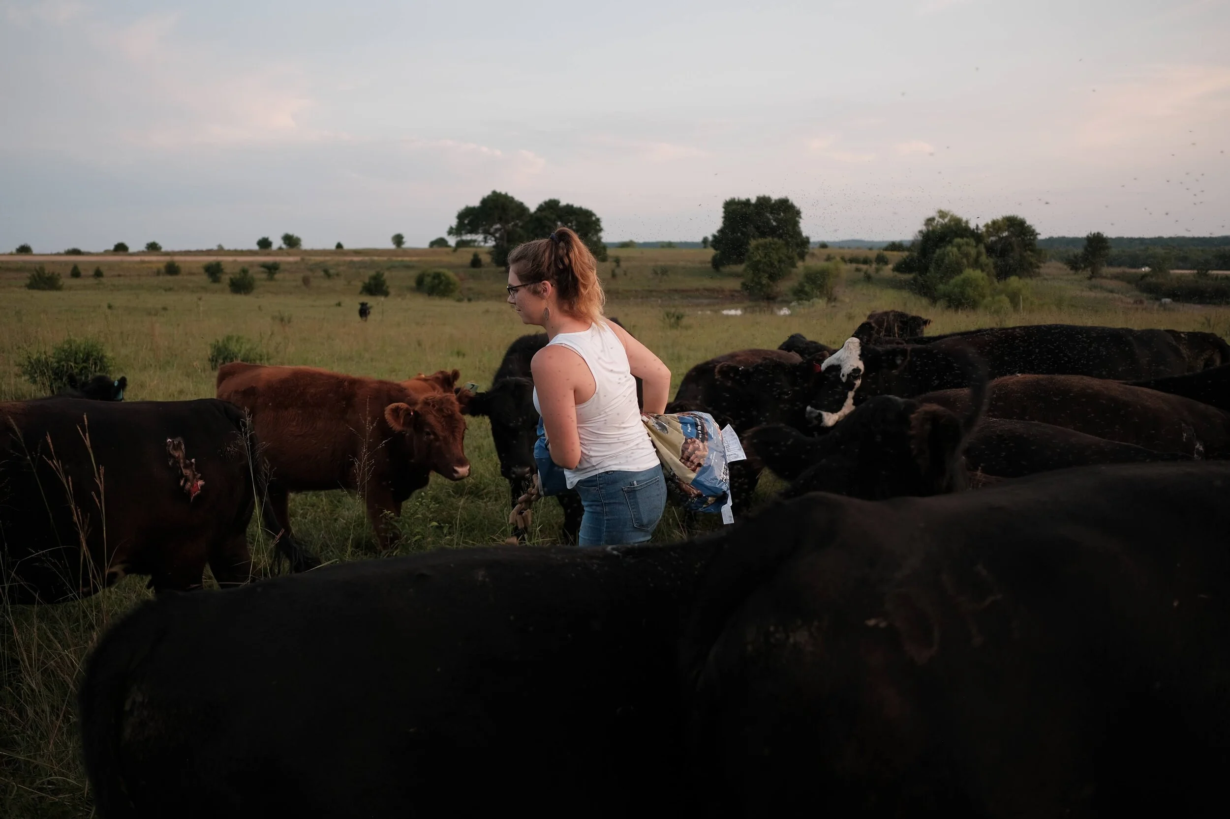 Our Story — Hidden Hill Farms