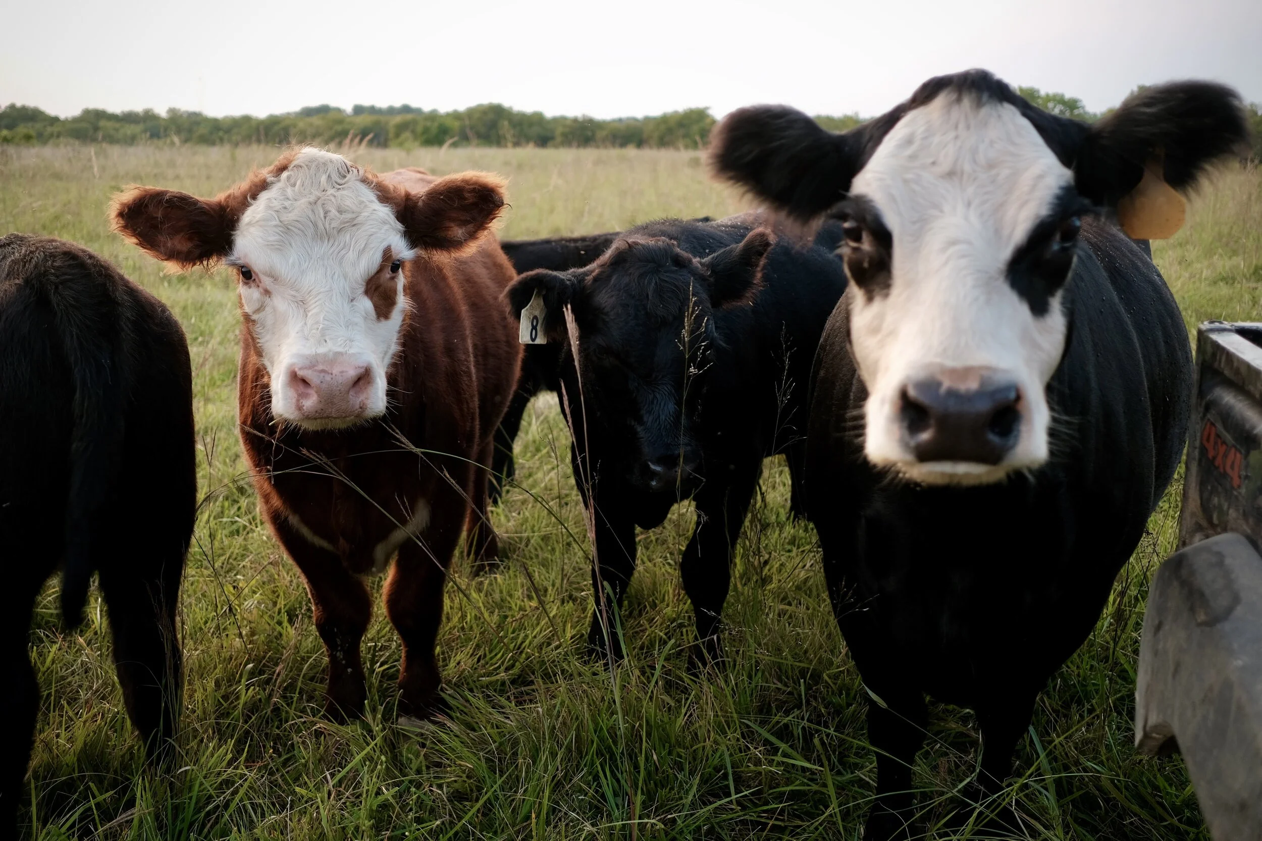 Our Story — Hidden Hill Farms