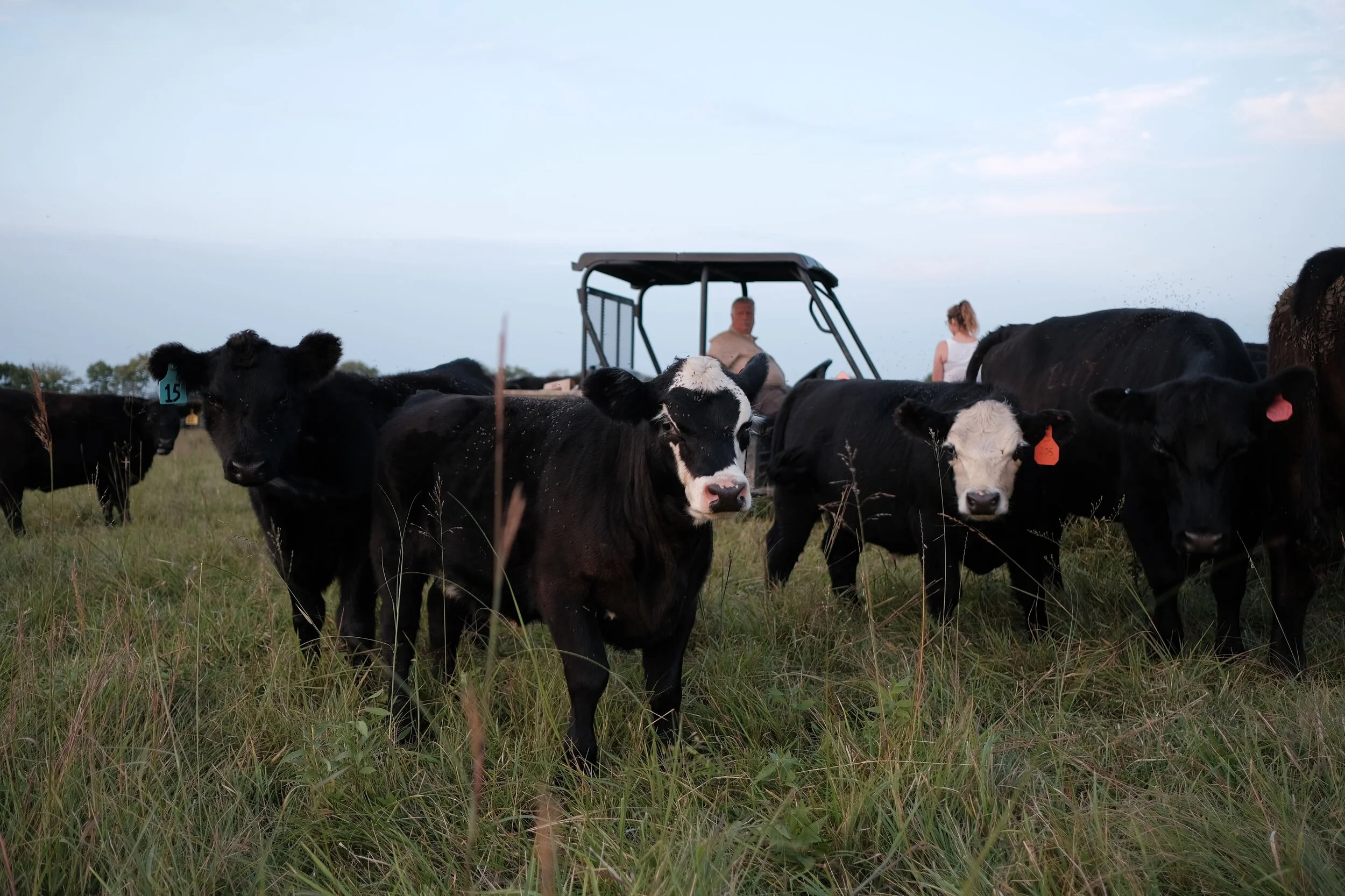 Our Story — Hidden Hill Farms