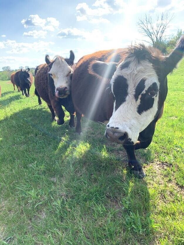 Our Story — Hidden Hill Farms
