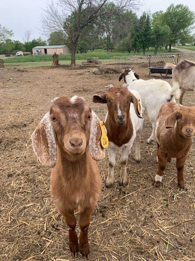 Our Story — Hidden Hill Farms