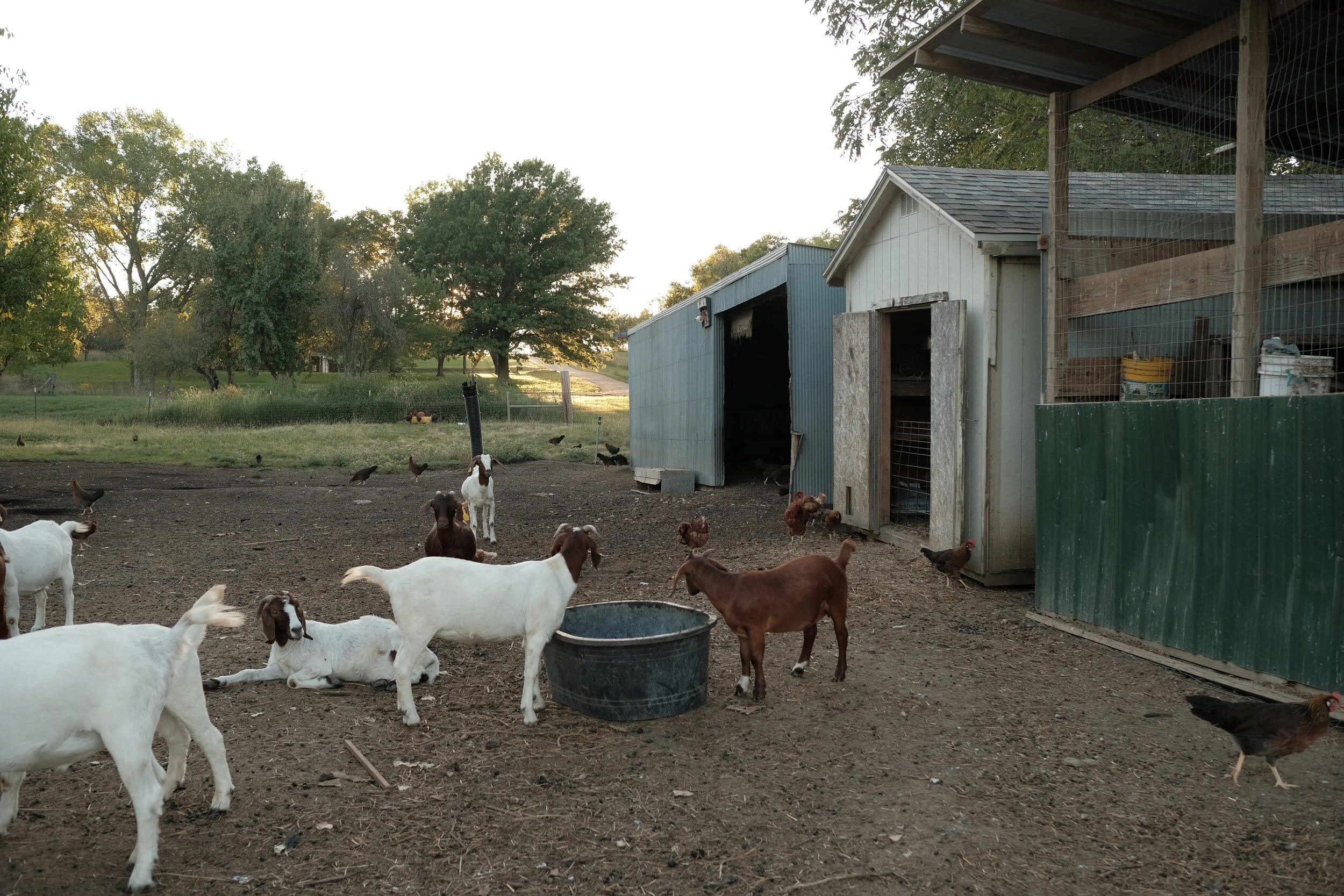 Our Story — Hidden Hill Farms