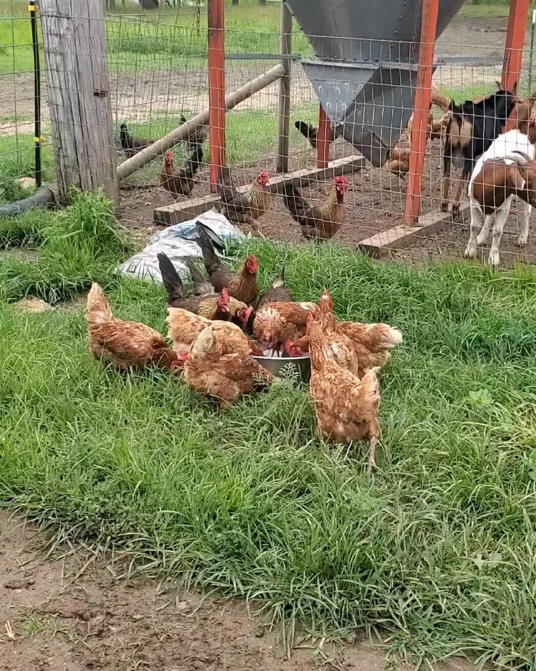Hidden Hill Farms