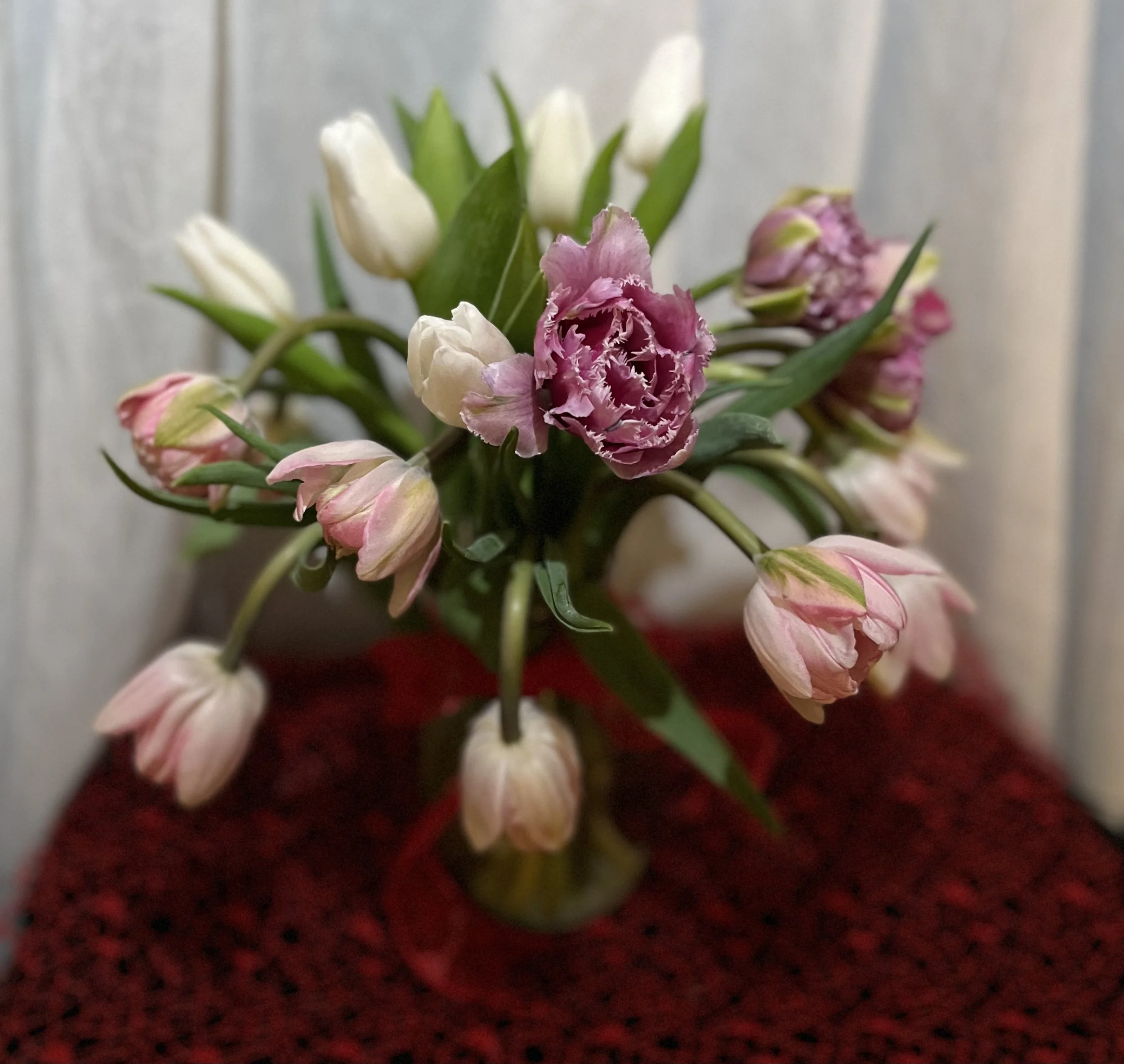 Misty Meadows Flower Farm | Local Flowers | Floral Arrangements in ...